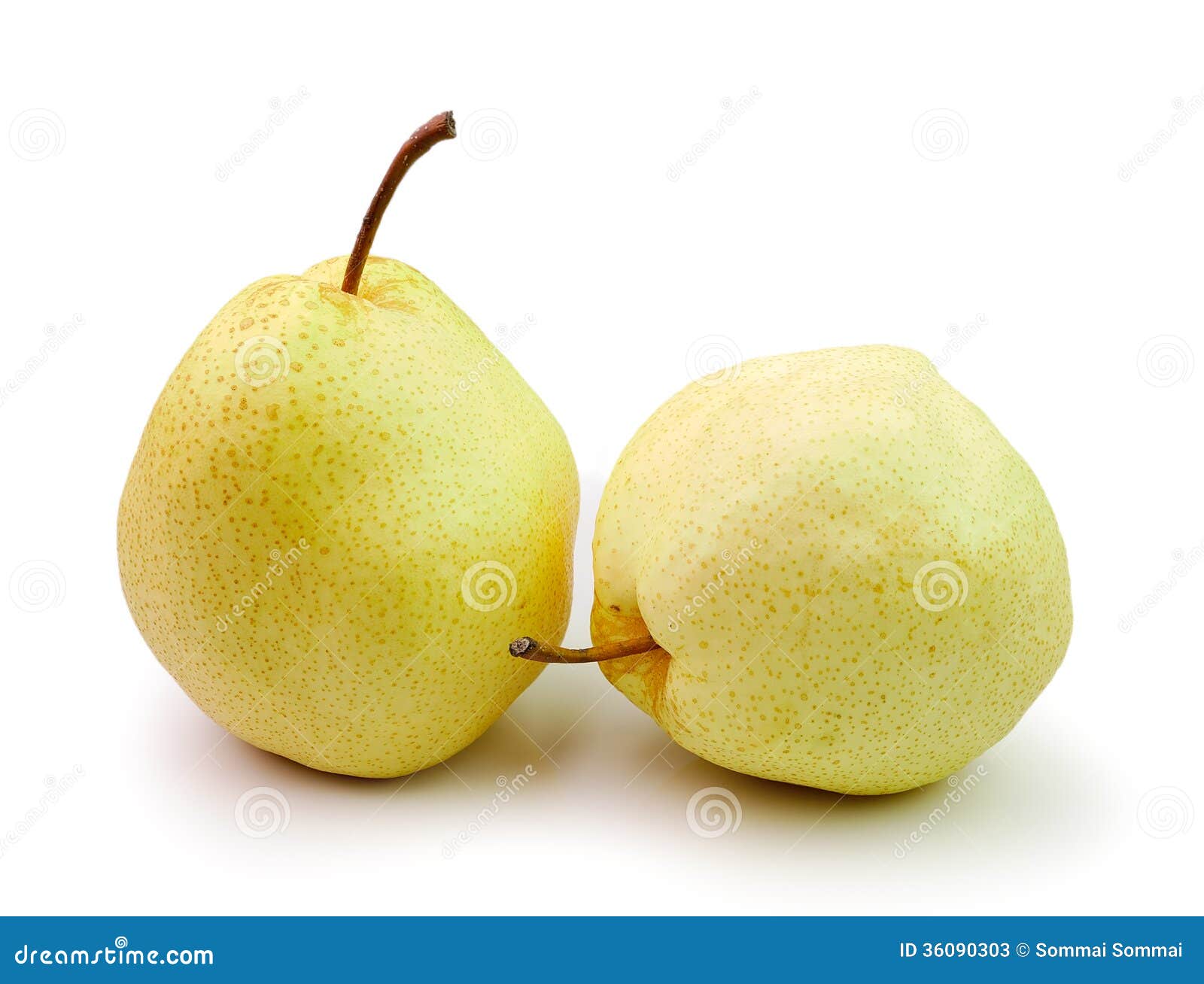 Pera En Primer En El Fondo Blanco Imagen de archivo - Imagen de verde ...