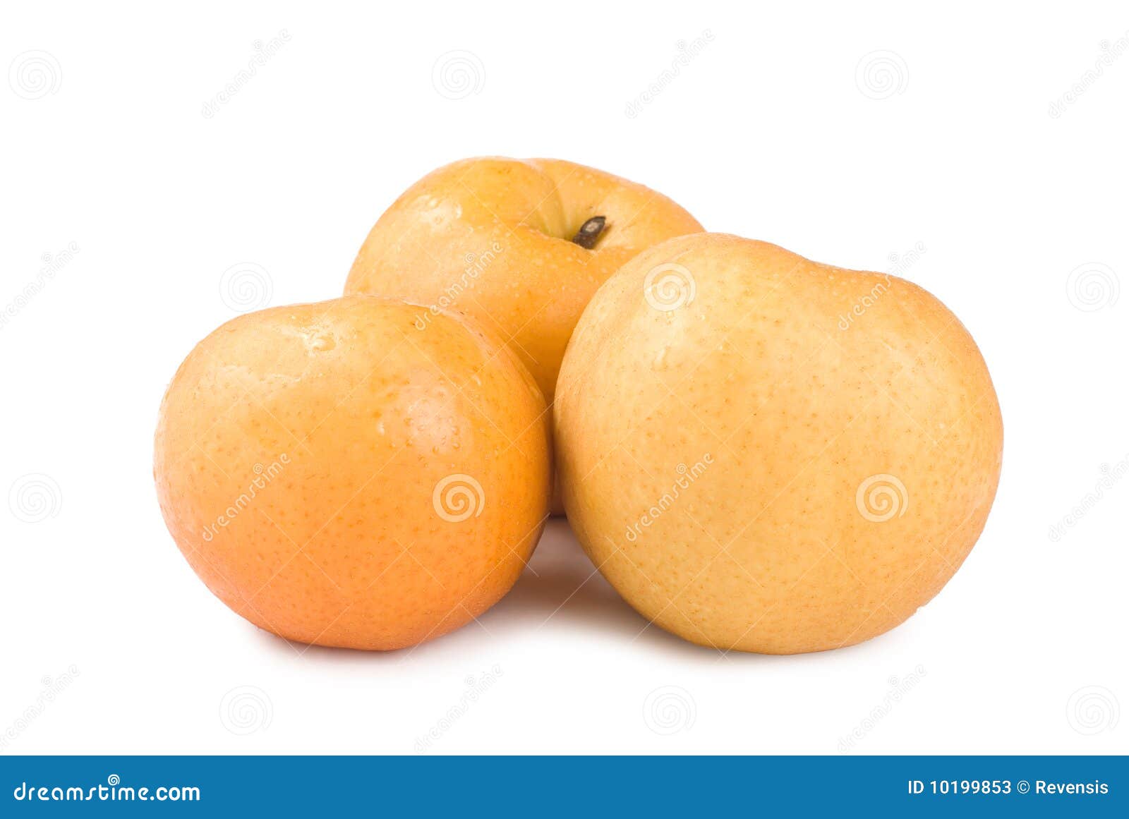 Pera japonesa aislada imagen de archivo. Imagen de travieso - 10199853