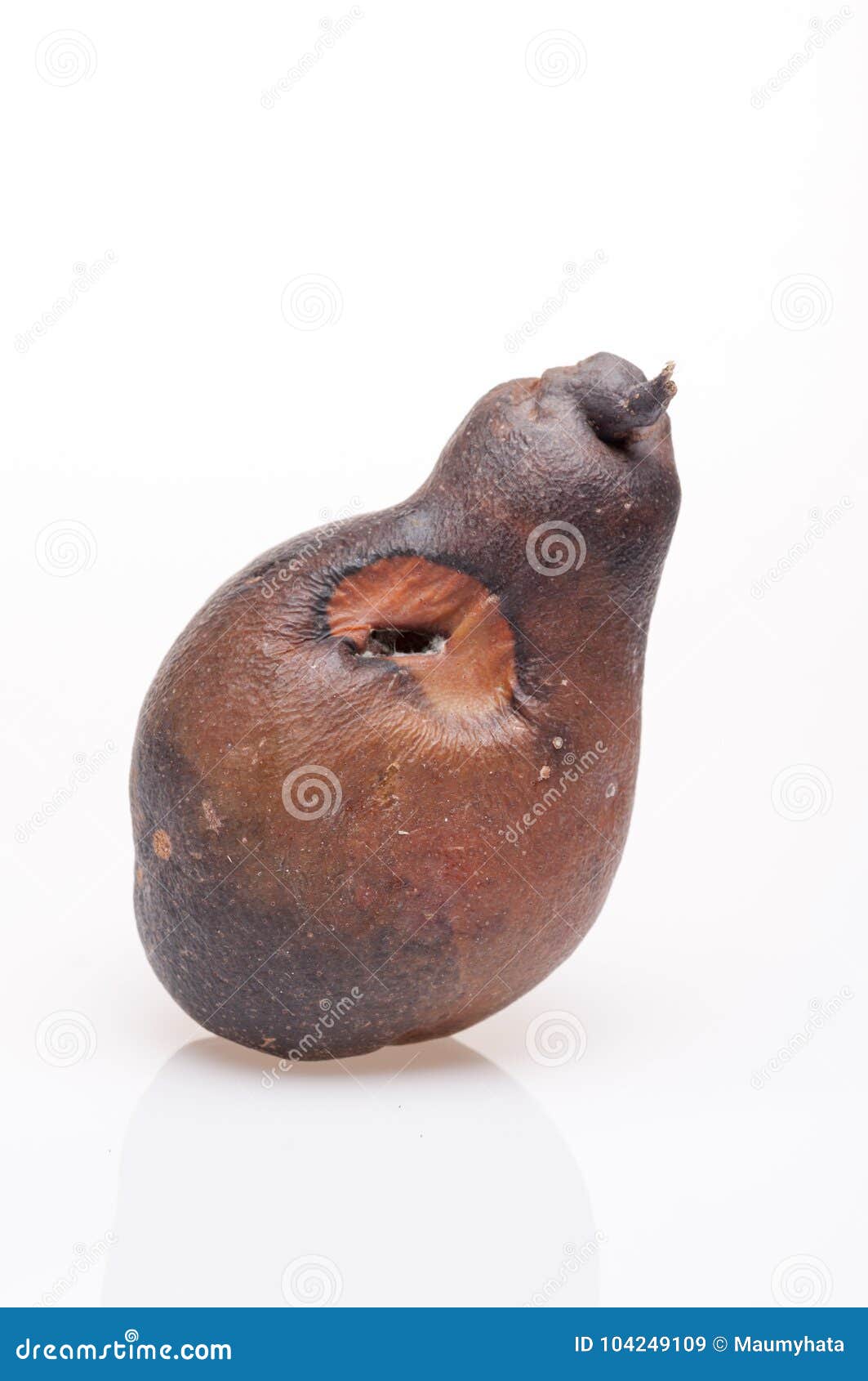 Pera Marrom Enrugada E Podre Isolada Imagem de Stock - Imagem de fruta ...