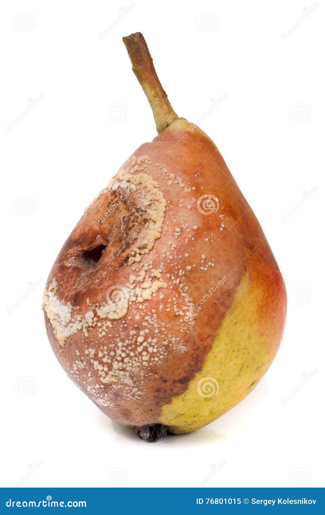 Pera Podre Isolada Em Um Close Up Branco Do Fundo Imagem de Stock ...