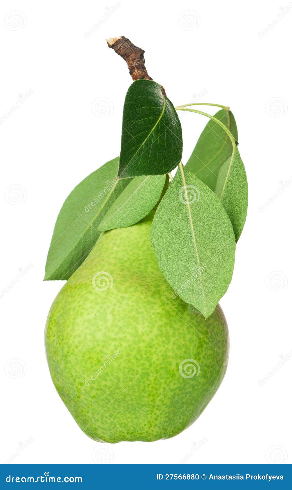 Pera verde foto de archivo. Imagen de dulce, frugalidad - 27566880