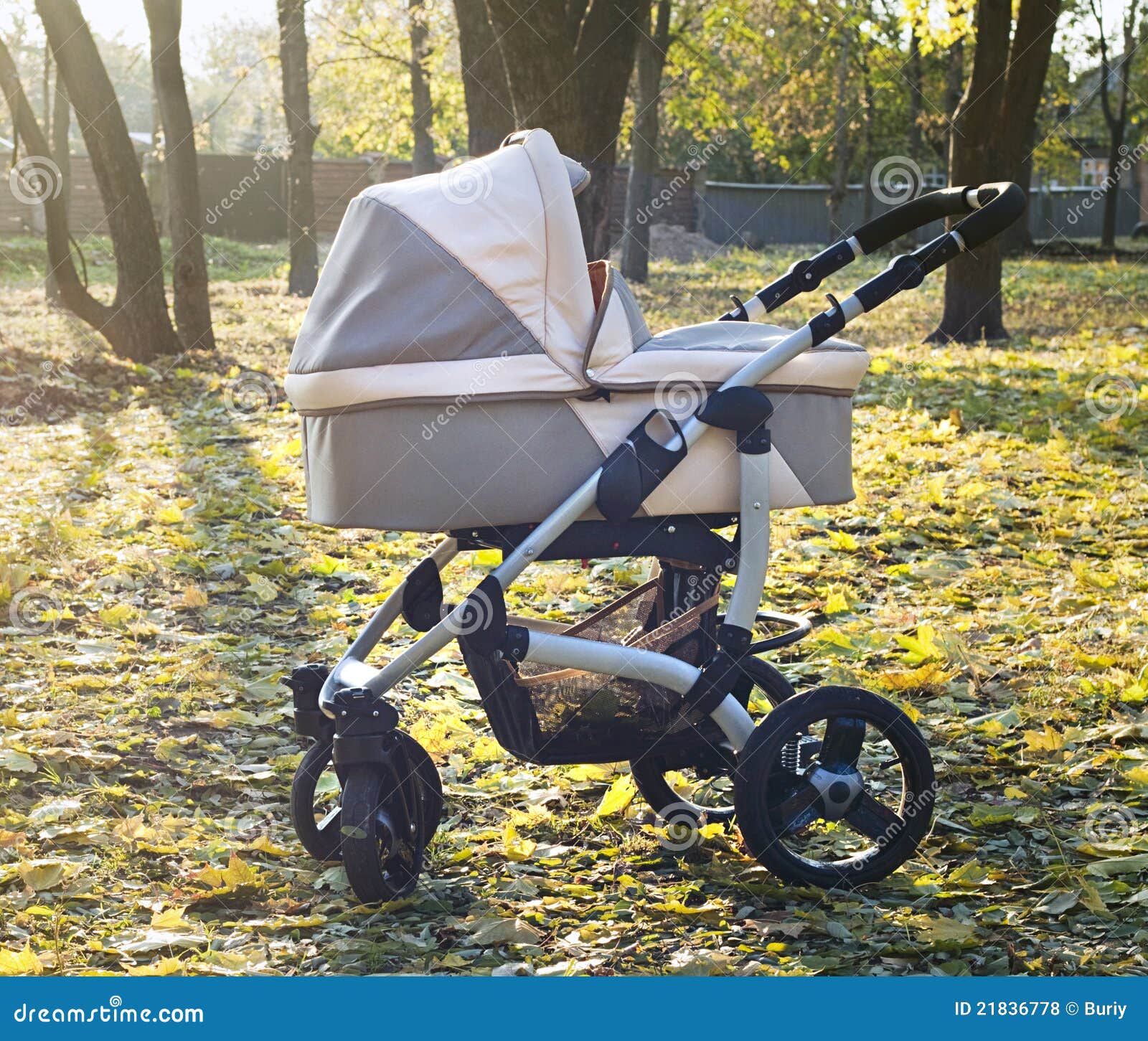 Perambulator stock photo. Image of outside, park, caucasian - 21836778