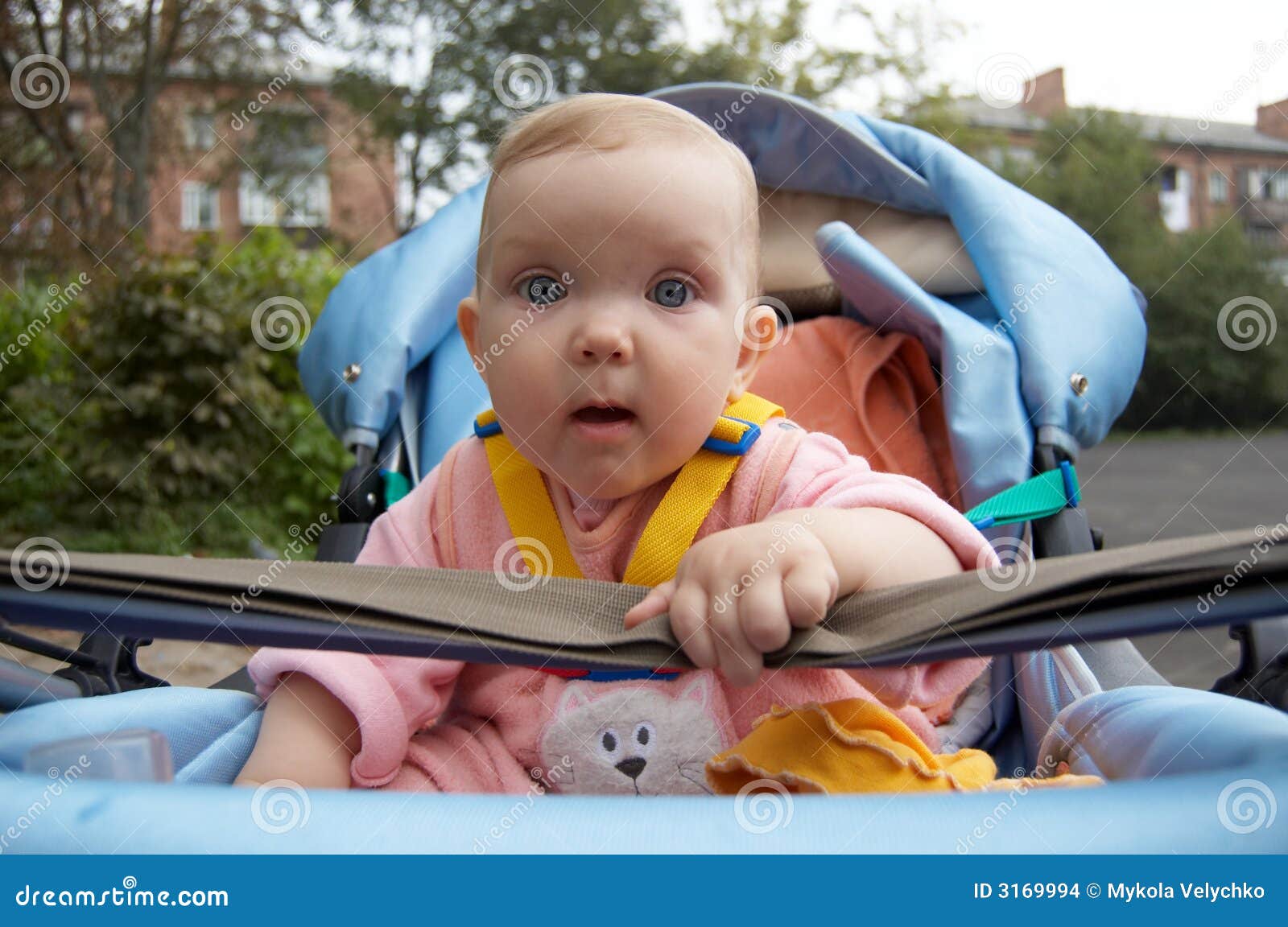 Perambulator stock photo. Image of happiness, carriage - 3169994