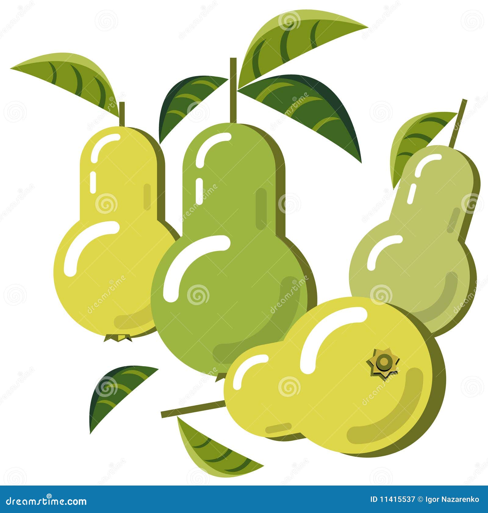 Peras ilustración del vector. Ilustración de blanco, medio - 11415537