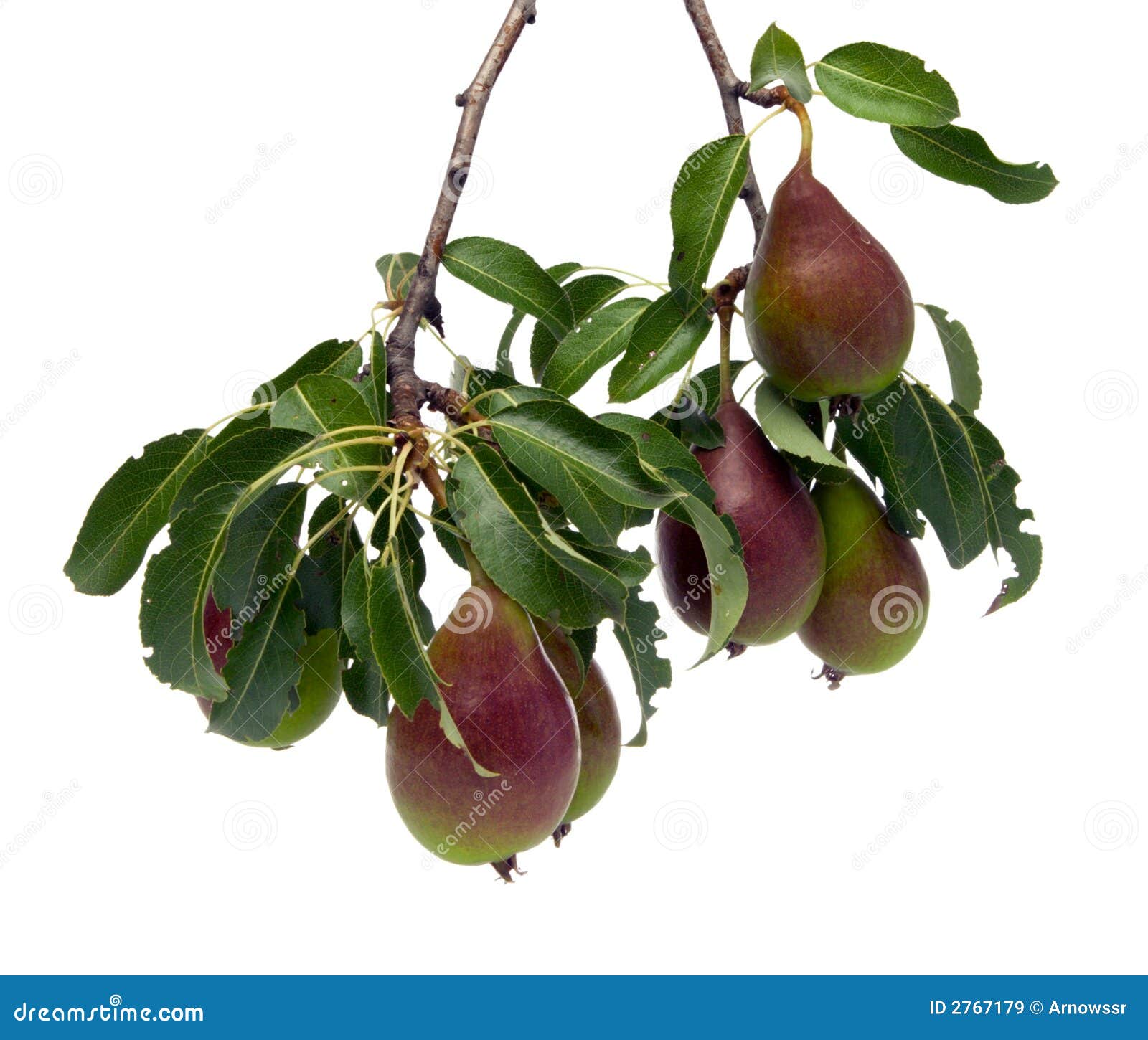 Peras imagen de archivo. Imagen de fresco, travieso, dulce - 2767179