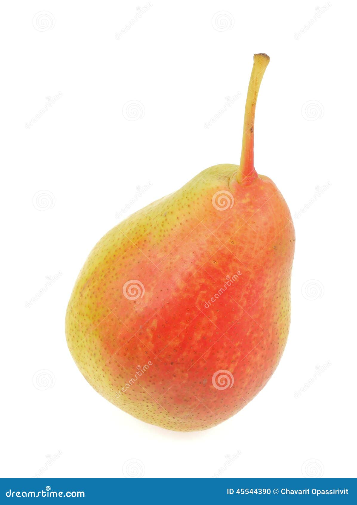 Peras foto de stock. Imagem de isolado, doce, ninguém - 45544390