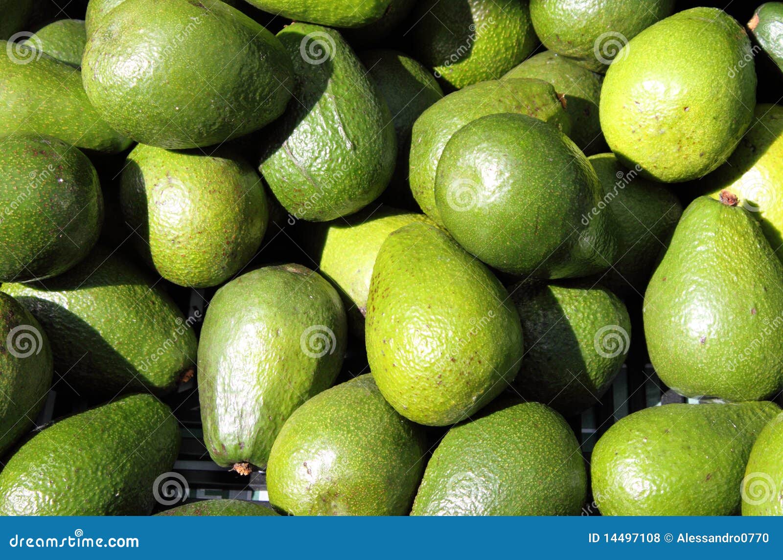 Peras de abacate foto de stock. Imagem de tropical, peras - 14497108