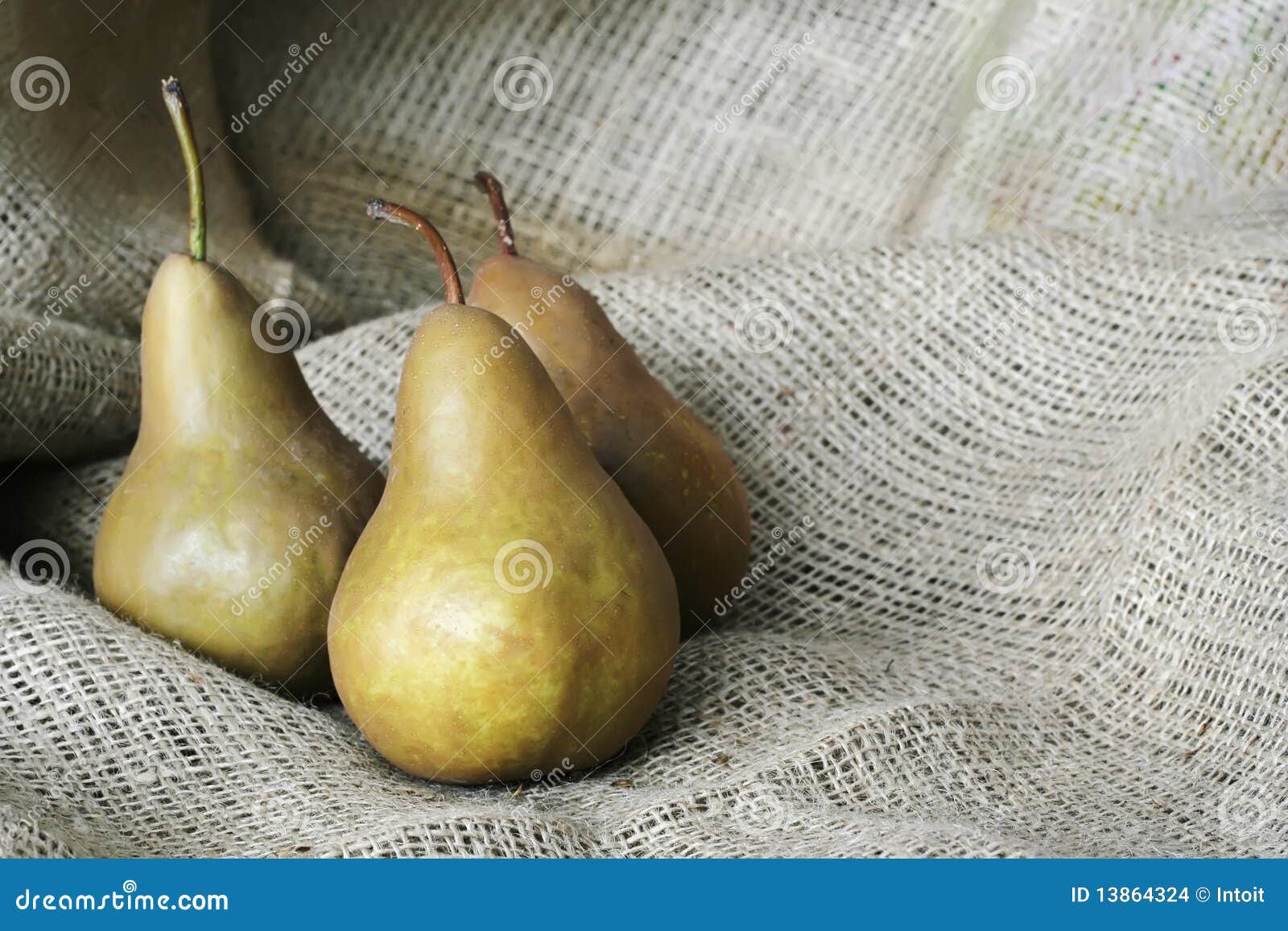 Peras De Bosc En La Arpillera Foto de archivo - Imagen de arpillera ...
