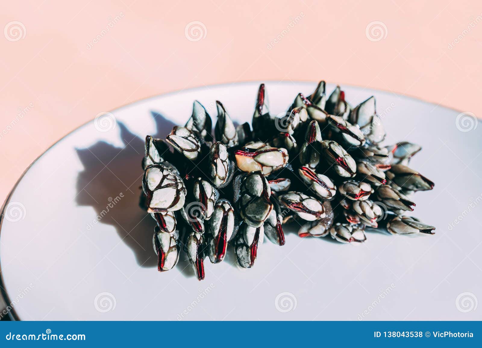 Percebes or Goose Barnacles or Gooseneck Barnacles Shell Fish Seafood ...