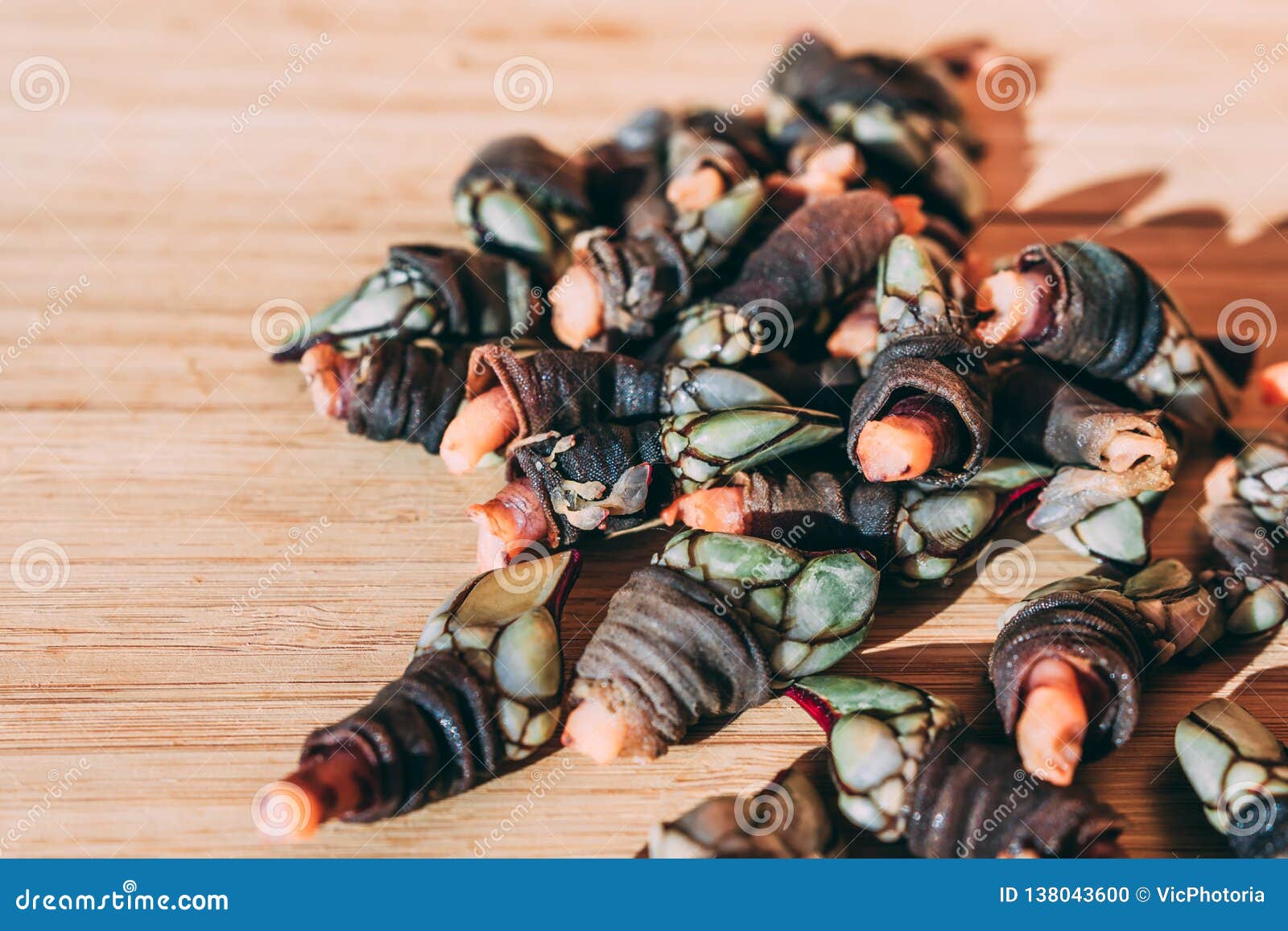 Percebes Or Goose Barnacles Or Gooseneck Barnacles Shell Fish Seafood ...