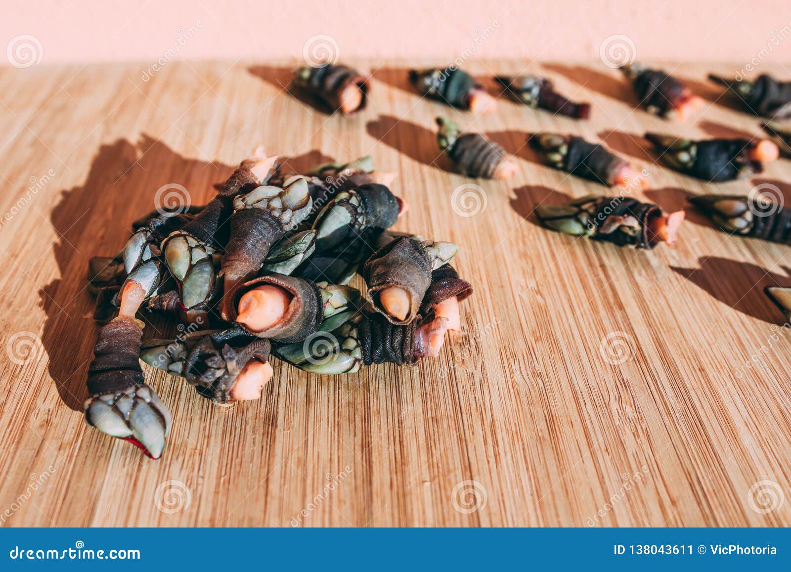 Percebes or Goose Barnacles or Gooseneck Barnacles Shell Fish Seafood ...