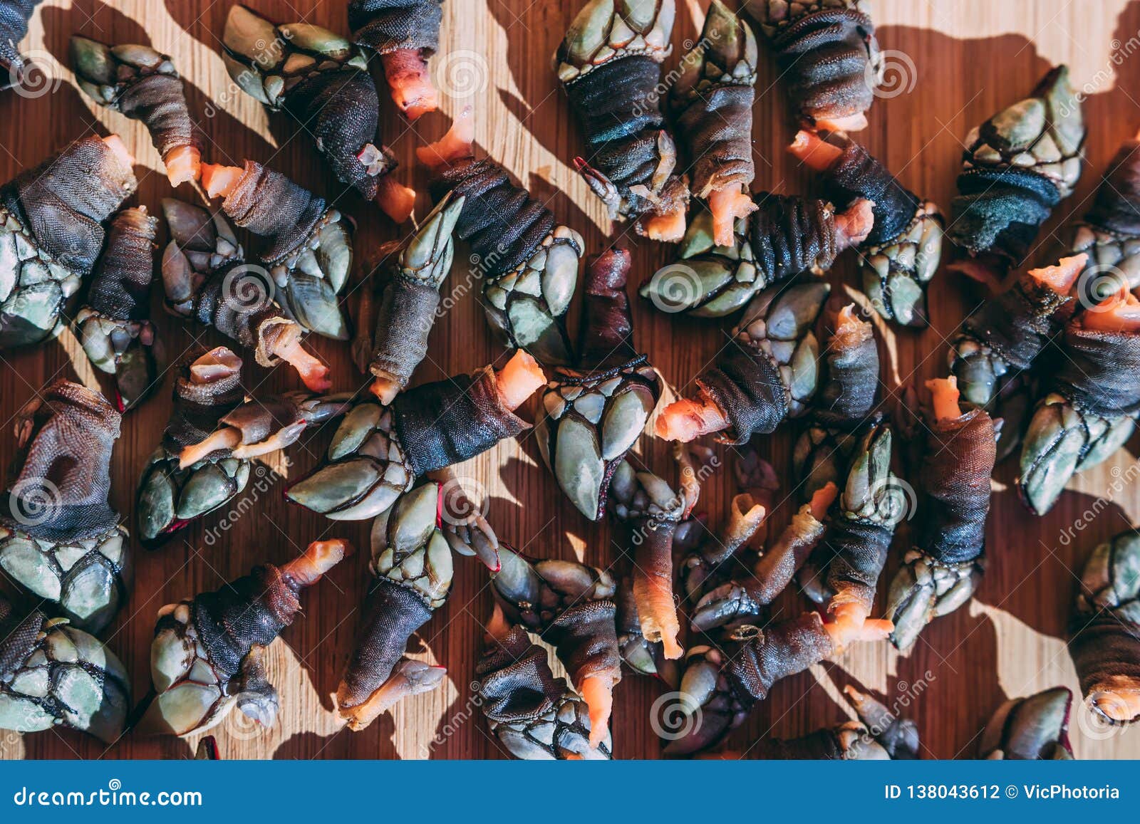 Percebes or Goose Barnacles or Gooseneck Barnacles Shell Fish Seafood ...