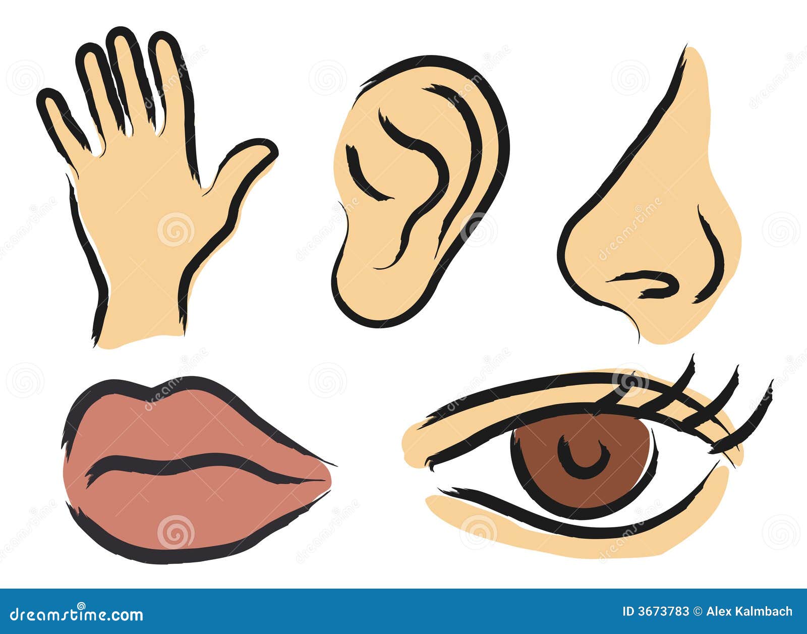 Perception sensorielle illustration de vecteur. Illustration of médical ...