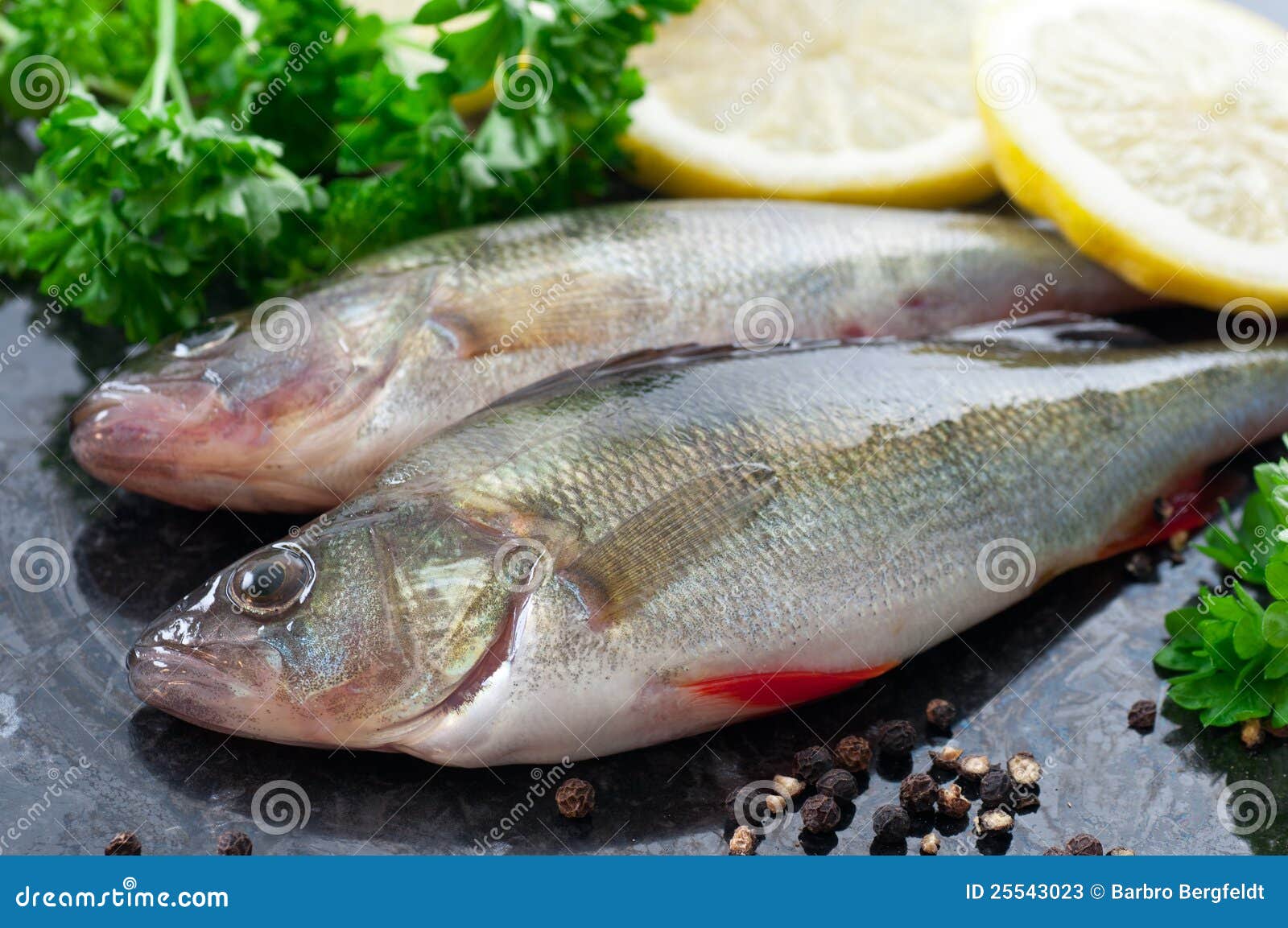 Perch stock image. Image of fish, perch, food, spice - 25543023