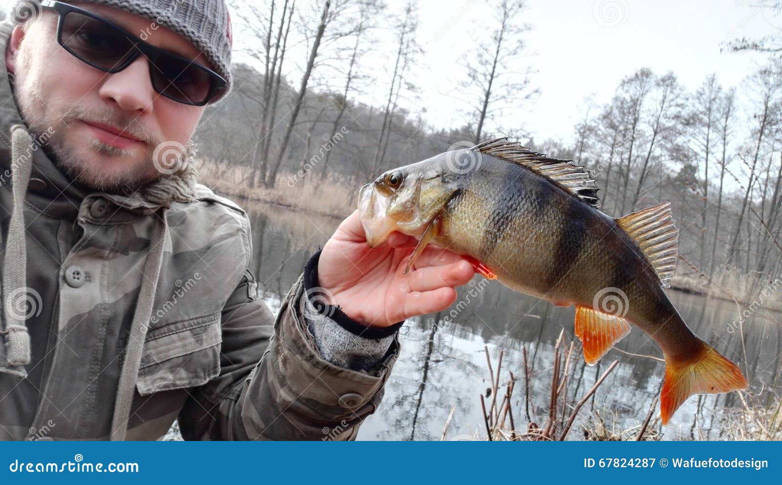 Perch Catcher stock image. Image of hobby, fish, nature - 67824287