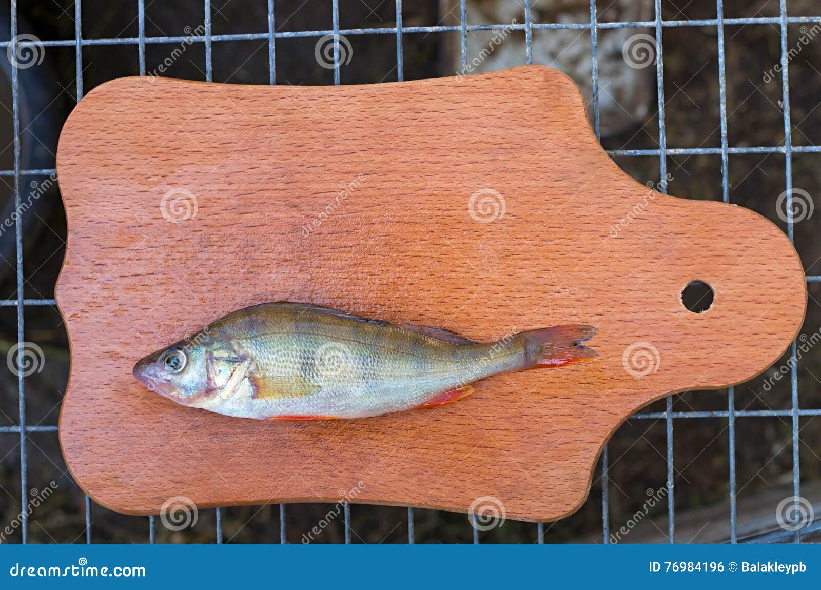 Perch stock photo. Image of plank, body, nourishing, seafood - 76984196