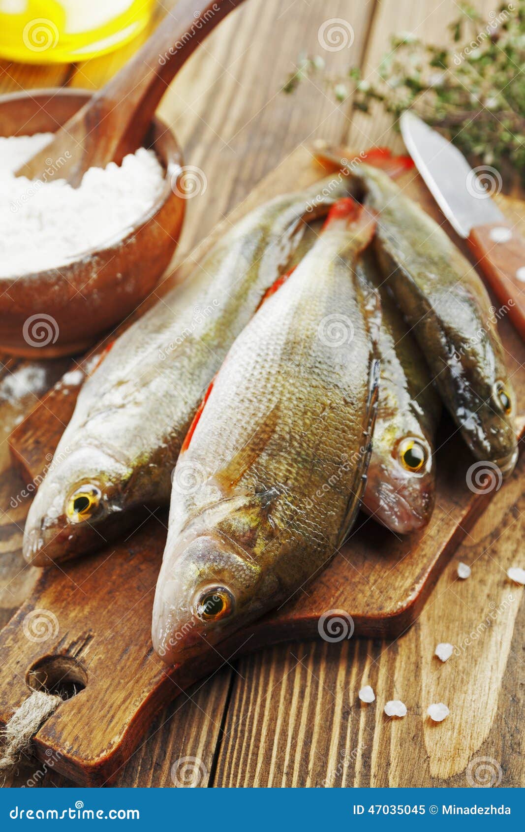 Perch, fish stock image. Image of board, dish, perch - 47035045