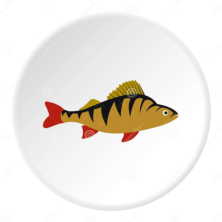 Perch Fish Icon, Flat Style Stock Vector - Illustration of lure ...