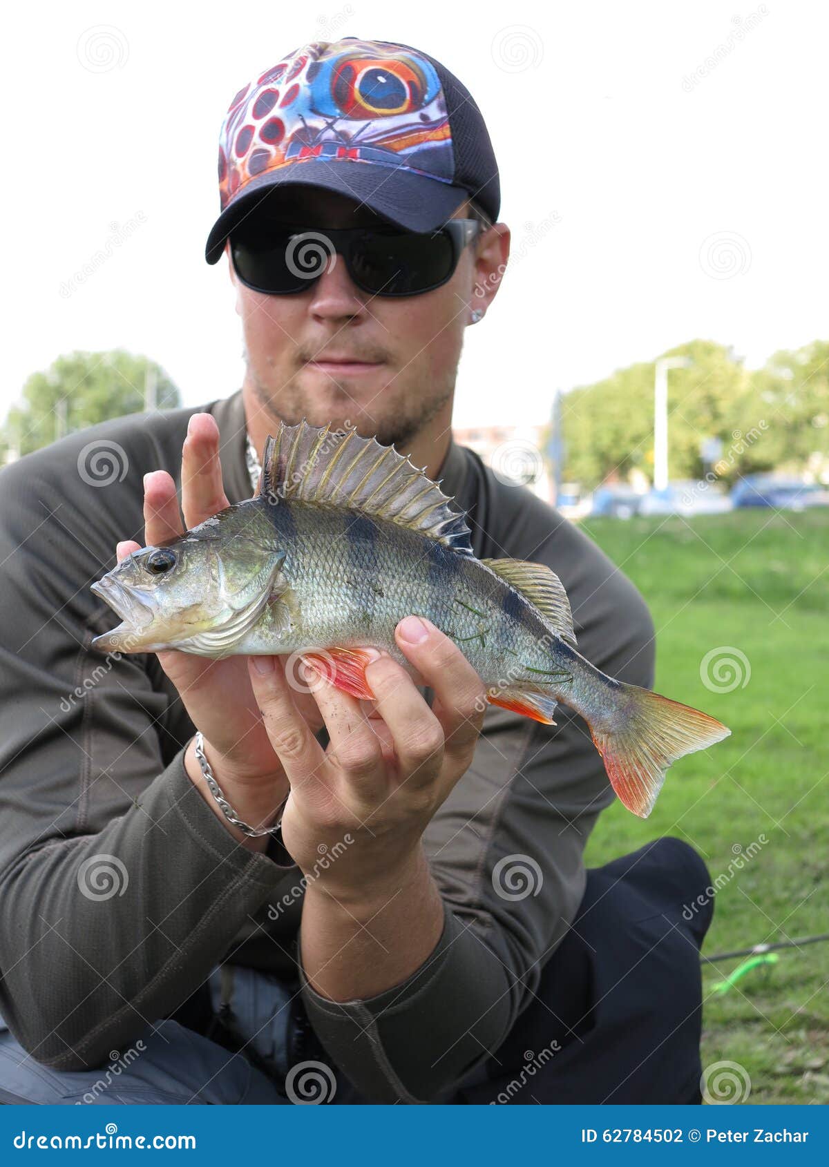 Perch fishing stock photo. Image of catching, fish, game - 62784502