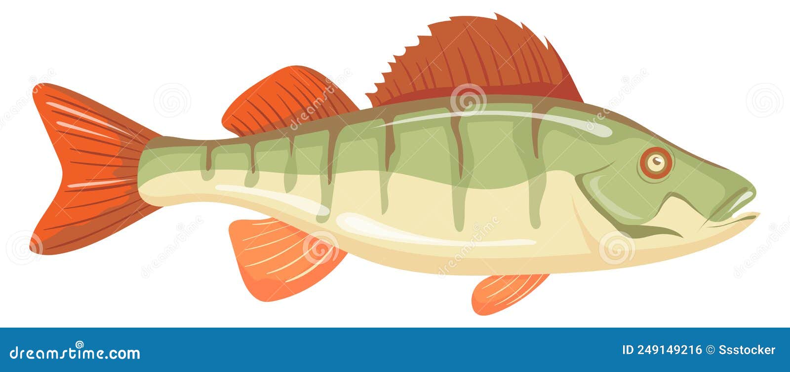 Perch Icon. Freshwater River Fish Stock Vector - Illustration of river ...