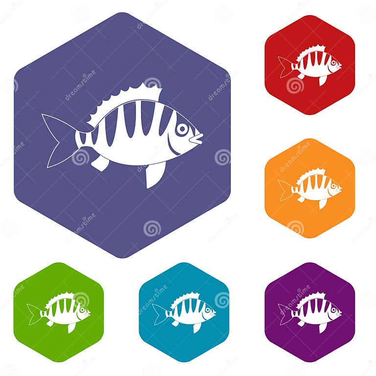 Perch icons set hexagon stock vector. Illustration of predatory - 91346061
