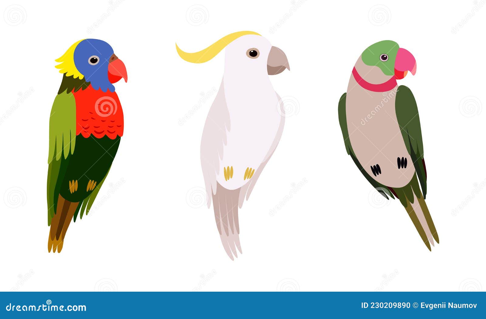 Perching Birds As Winged Feathered Creature With Bright Plumage Vector ...