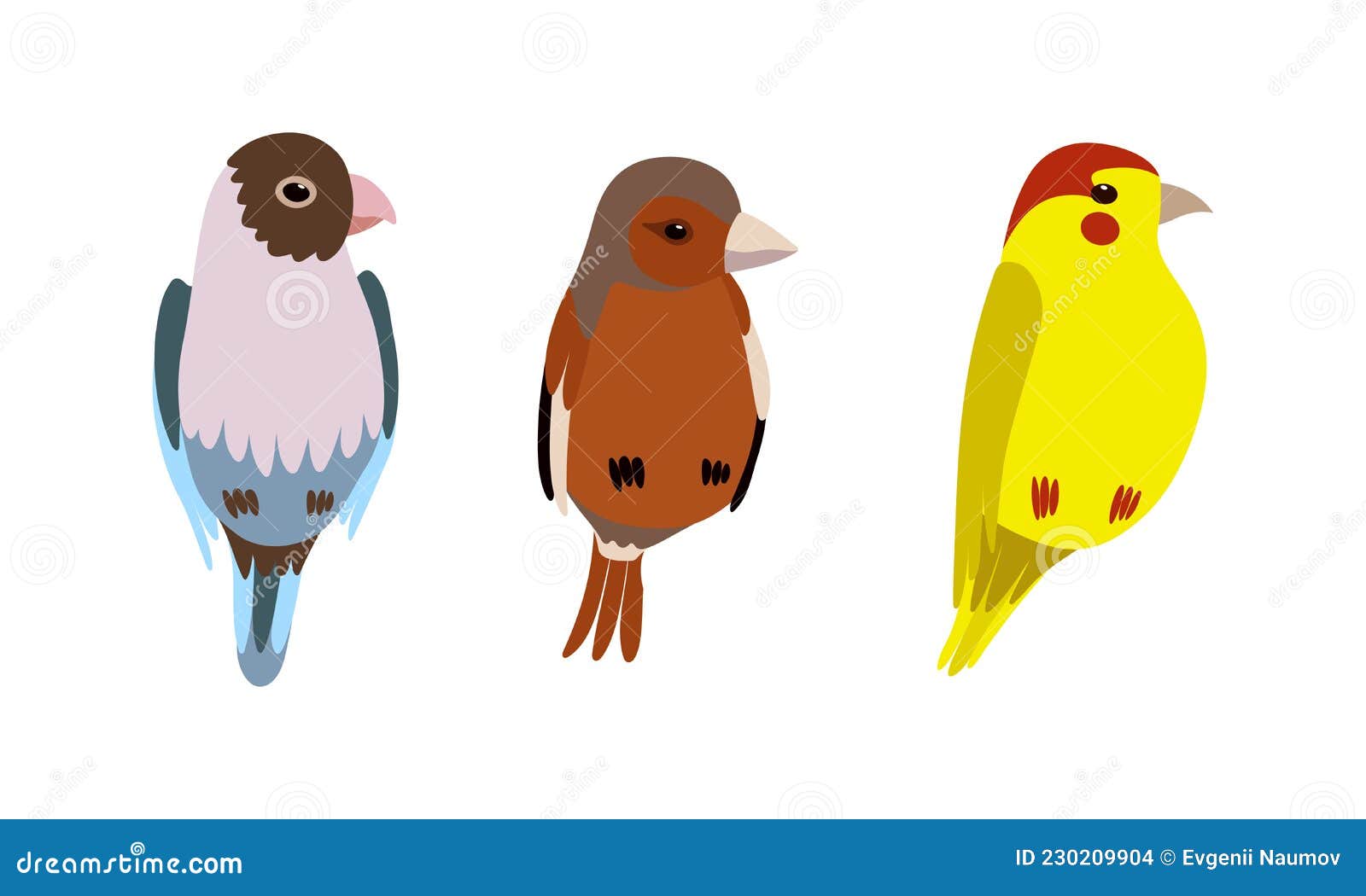 Perching Birds As Winged Feathered Creature With Bright Plumage Vector ...