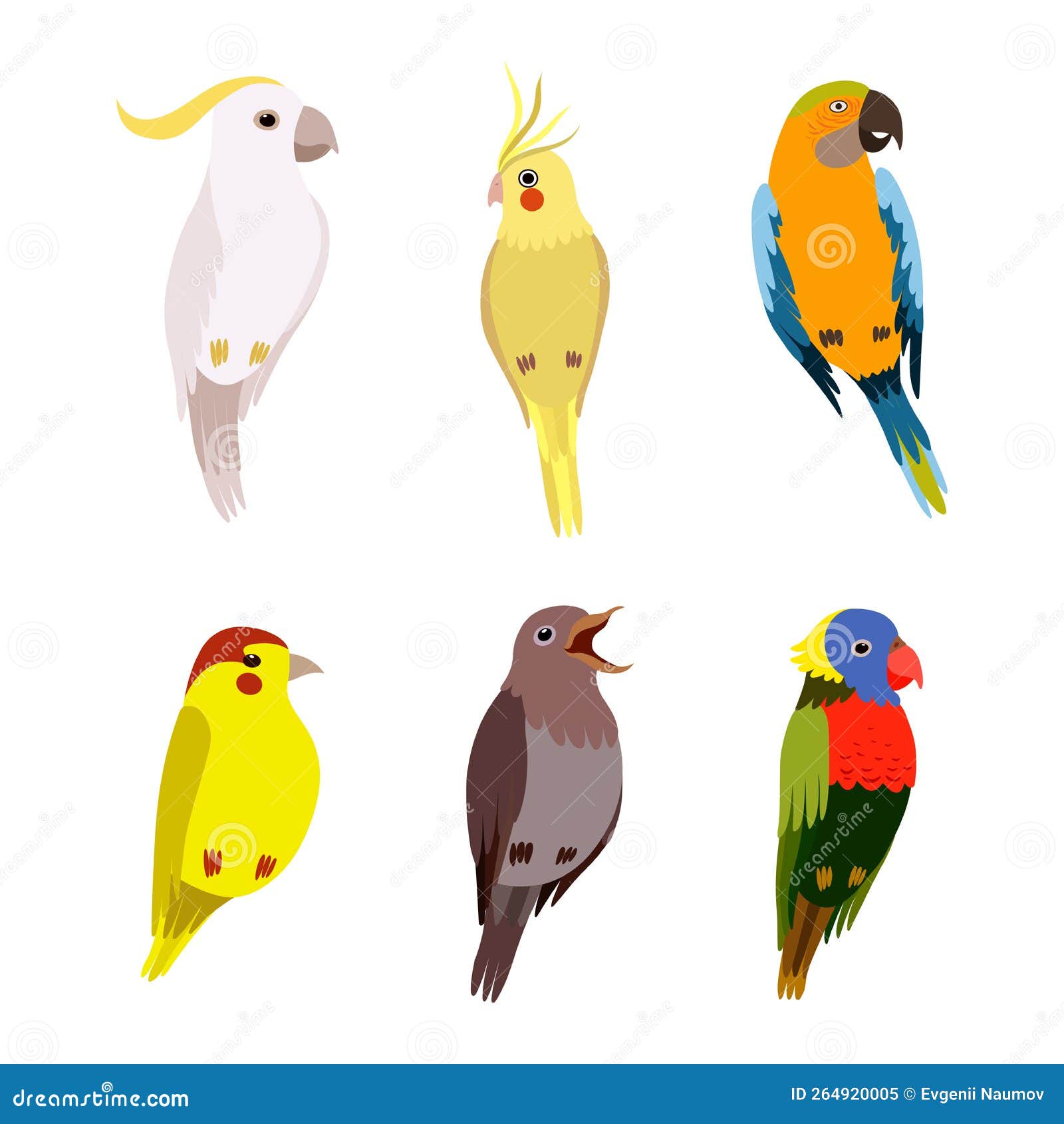 Perching Birds As Winged Feathered Creature With Bright Plumage Vector ...