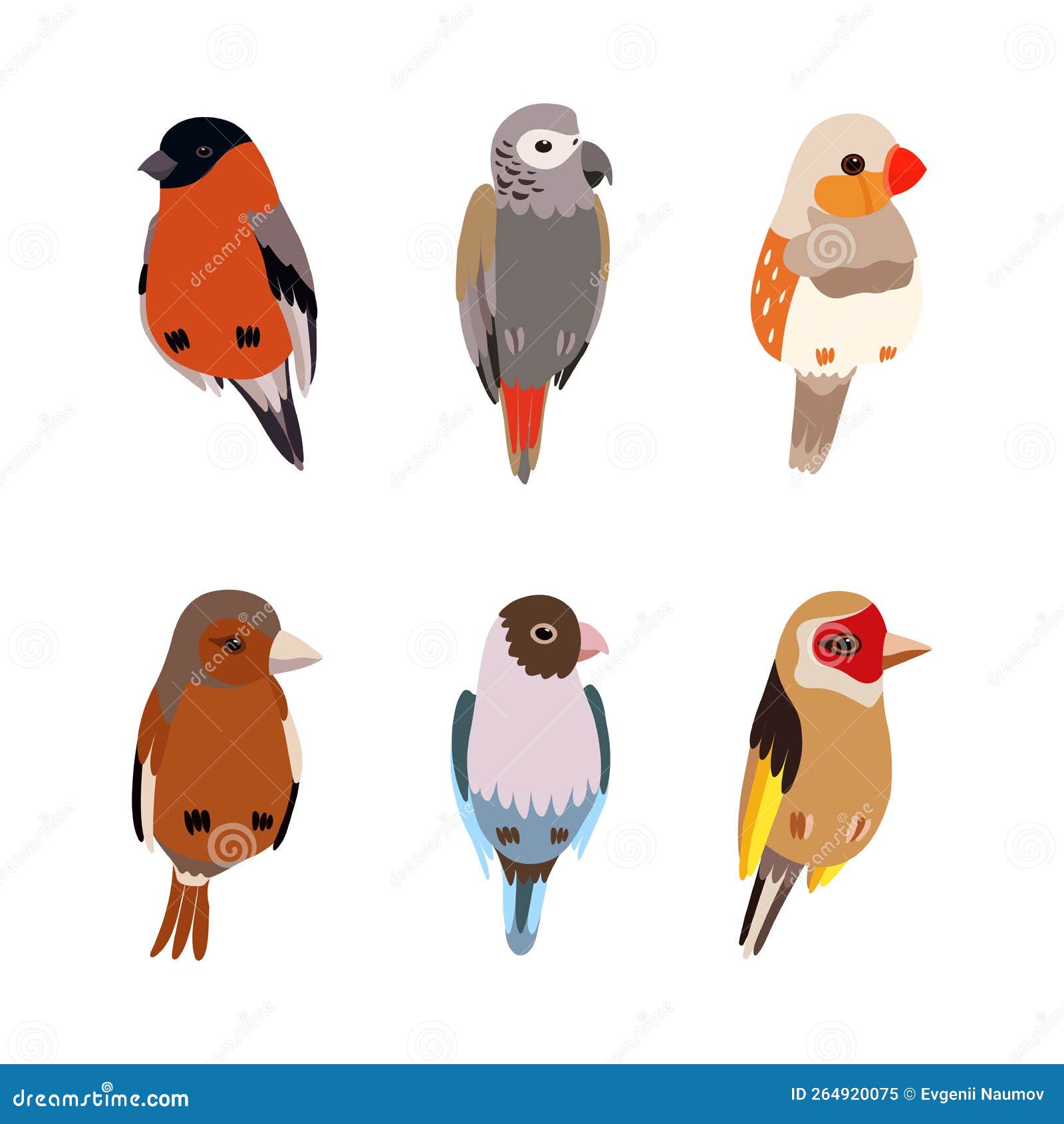 Perching Birds As Winged Feathered Creature with Bright Plumage Vector ...
