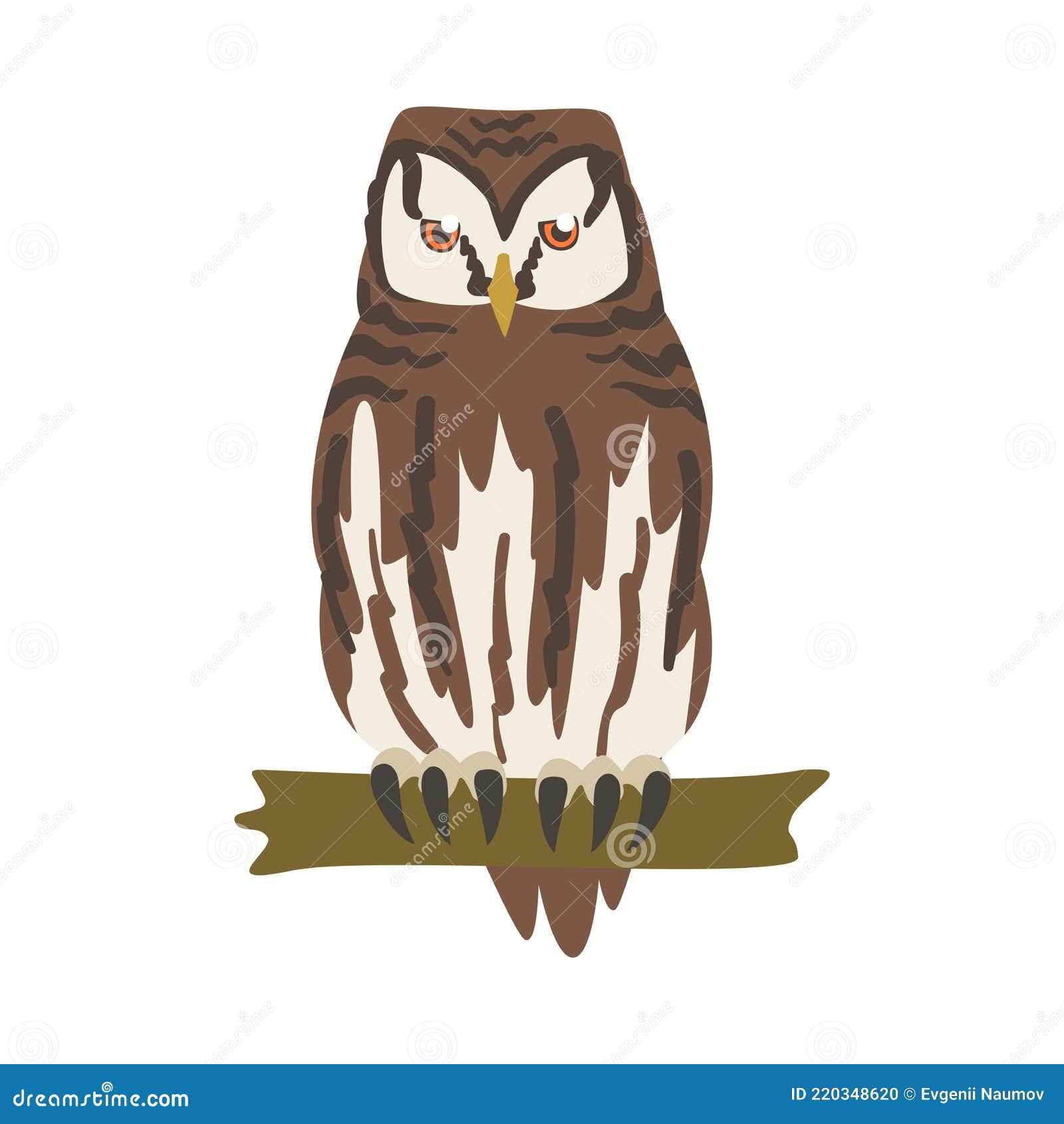 Perching Owl Bird with Broad Head and Sharp Talons Having Upright ...