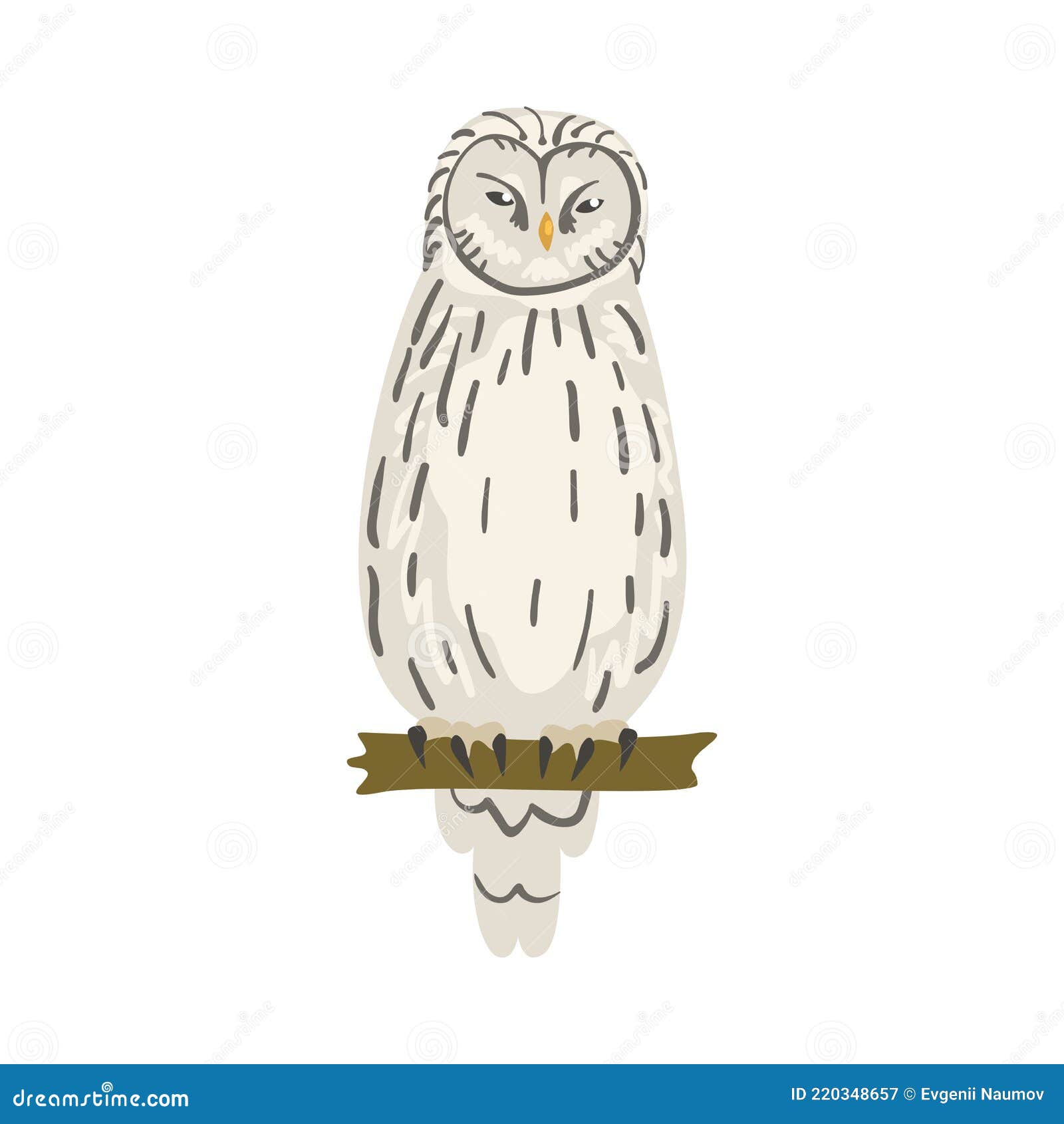 Perching Owl Bird with Broad Head and Sharp Talons Having Upright ...