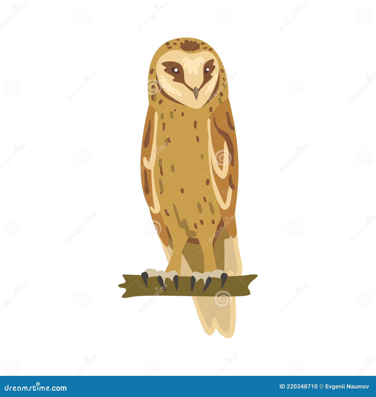 Perching Owl Bird with Broad Head and Sharp Talons Having Upright ...