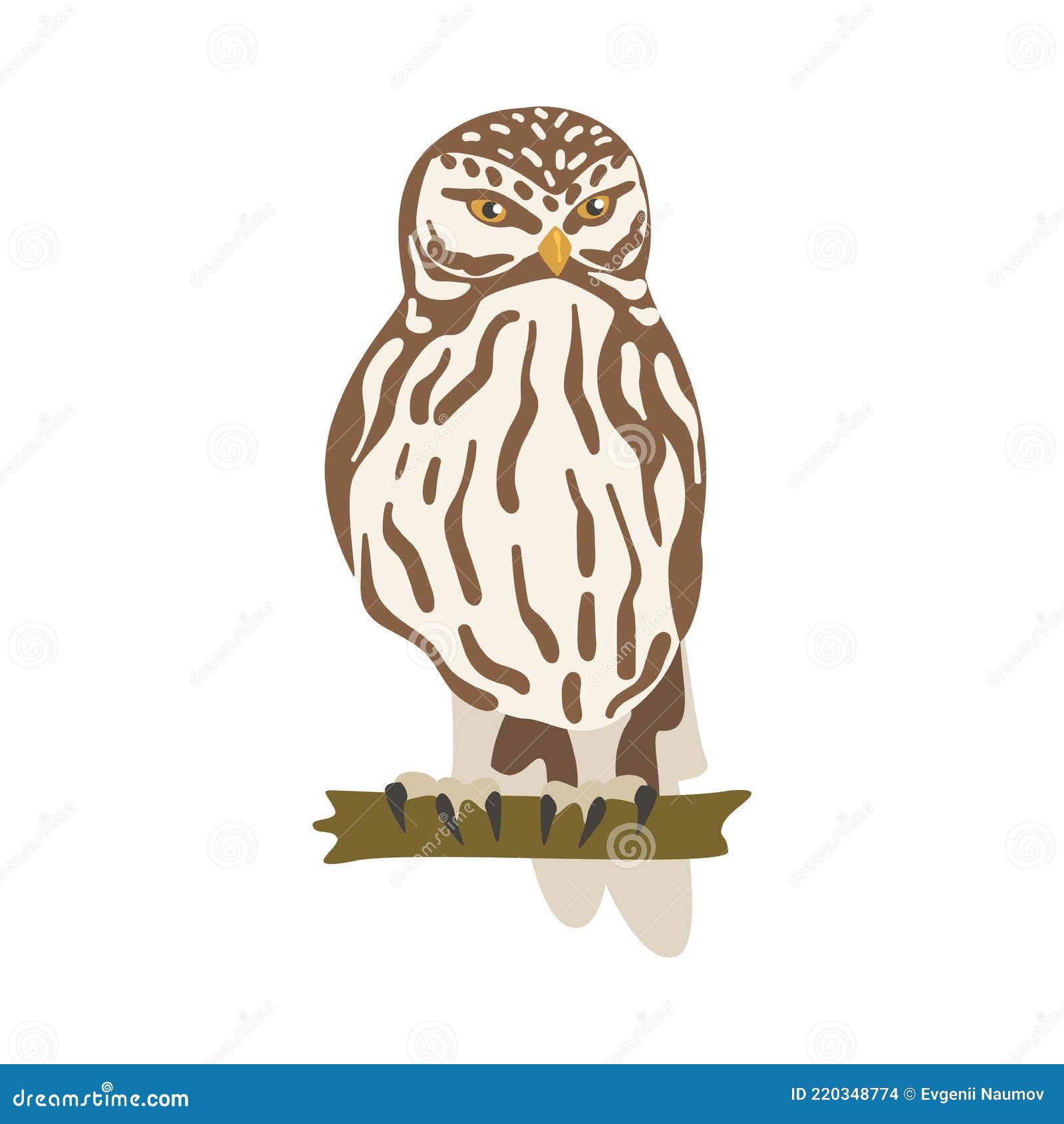 Perching Owl Bird with Broad Head and Sharp Talons Having Upright ...