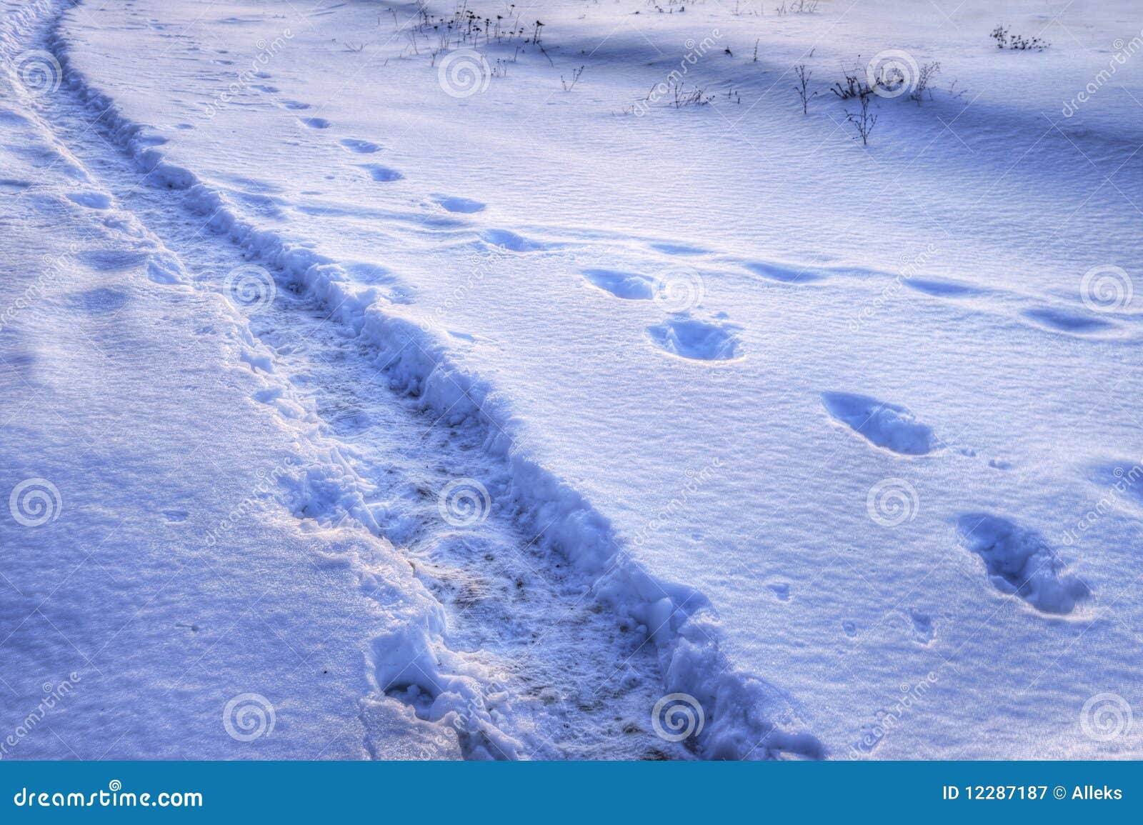 Percorso E Punti Sulla Neve. Immagine Di HDRI. Immagine Stock ...