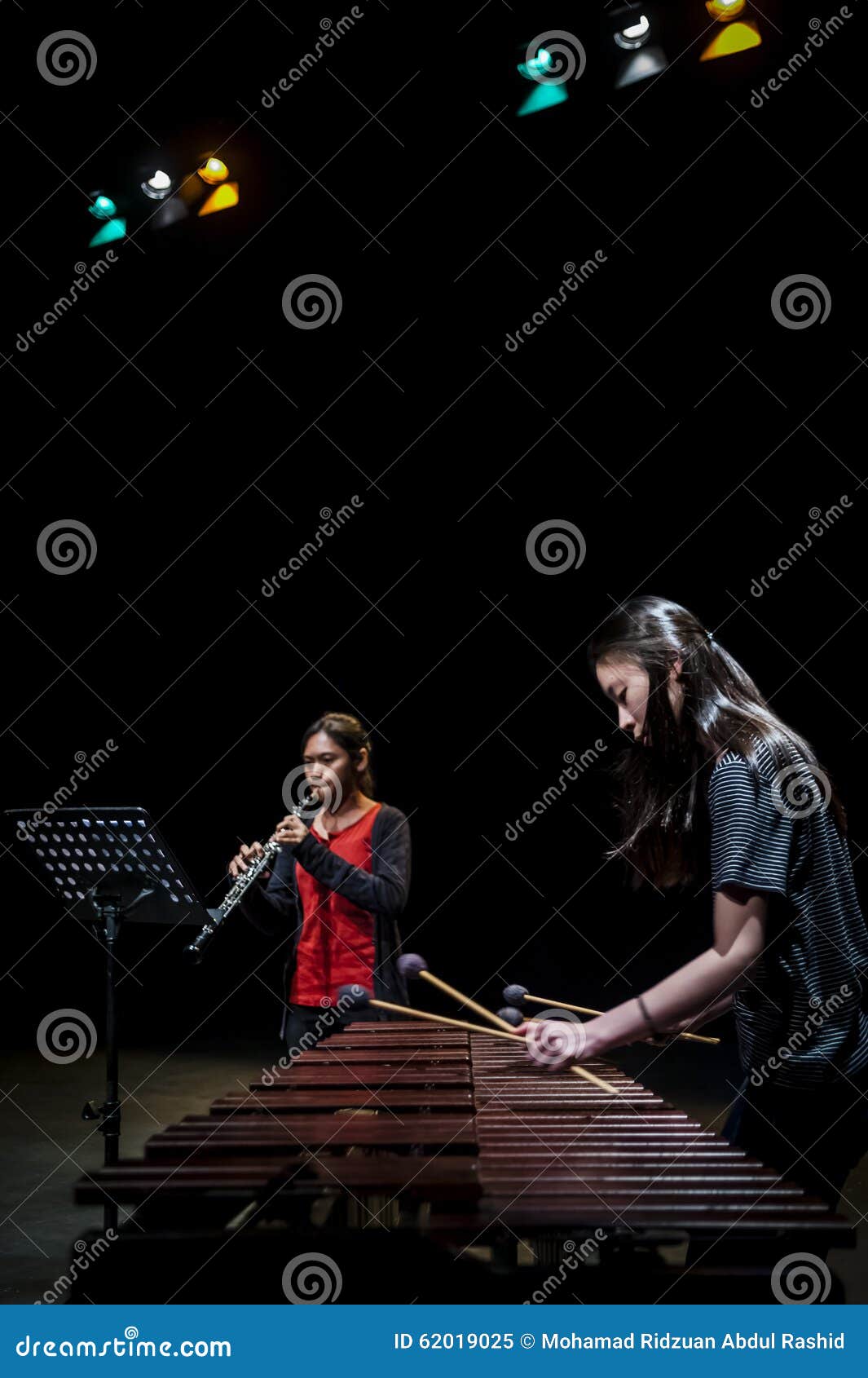 Percussion Player editorial image. Image of performing - 62019025