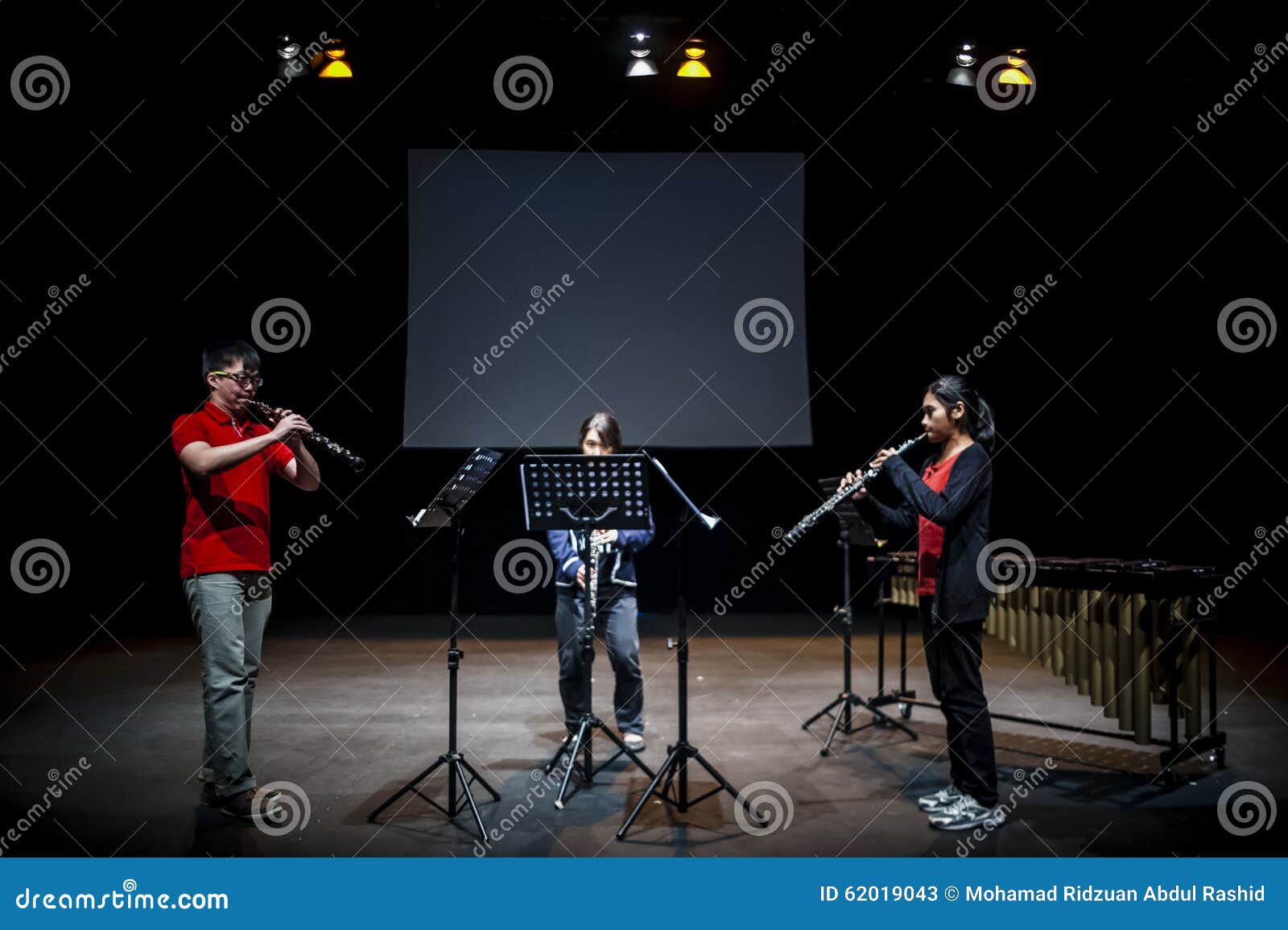 Percussion Player editorial stock photo. Image of artists - 62019043