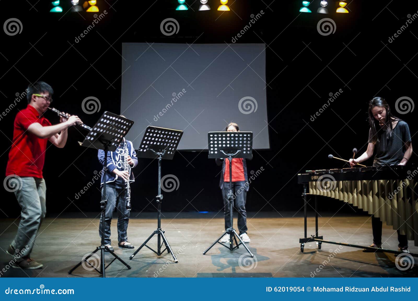 Percussion Player editorial stock image. Image of artists - 62019054