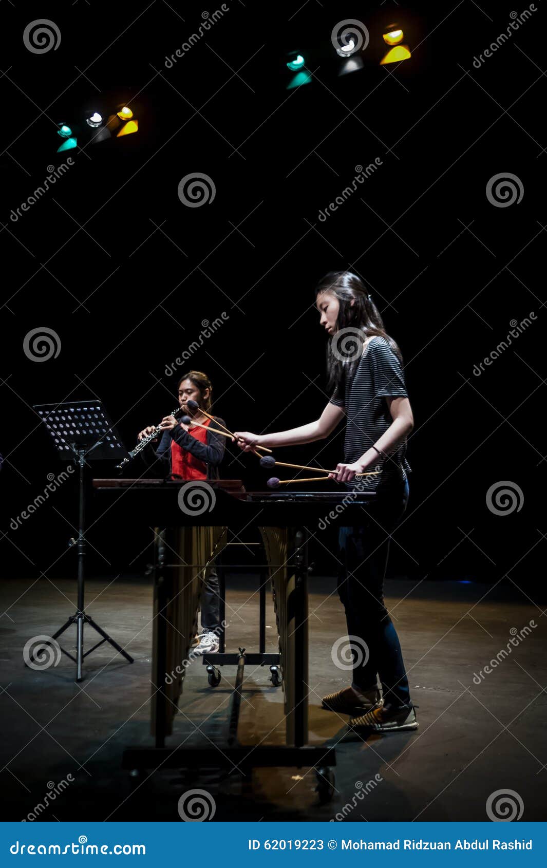 Percussion Player editorial stock photo. Image of instrument - 62019223
