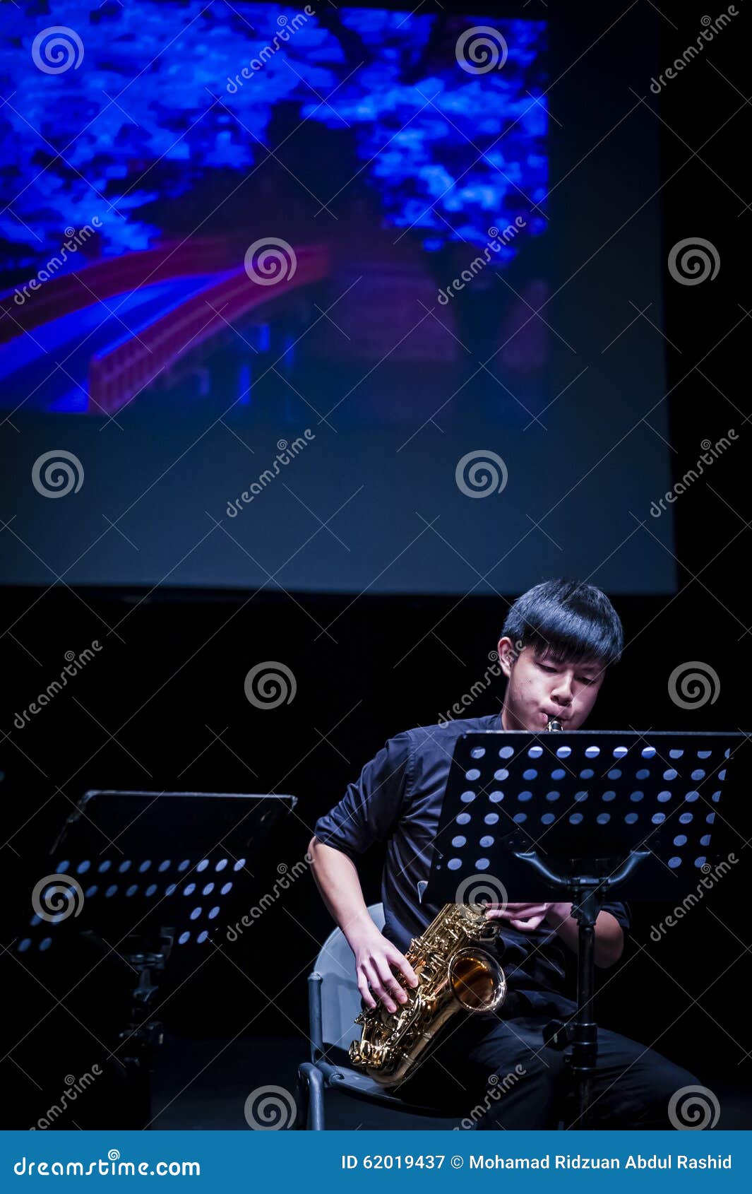 Percussion Player editorial photography. Image of artists - 62019437