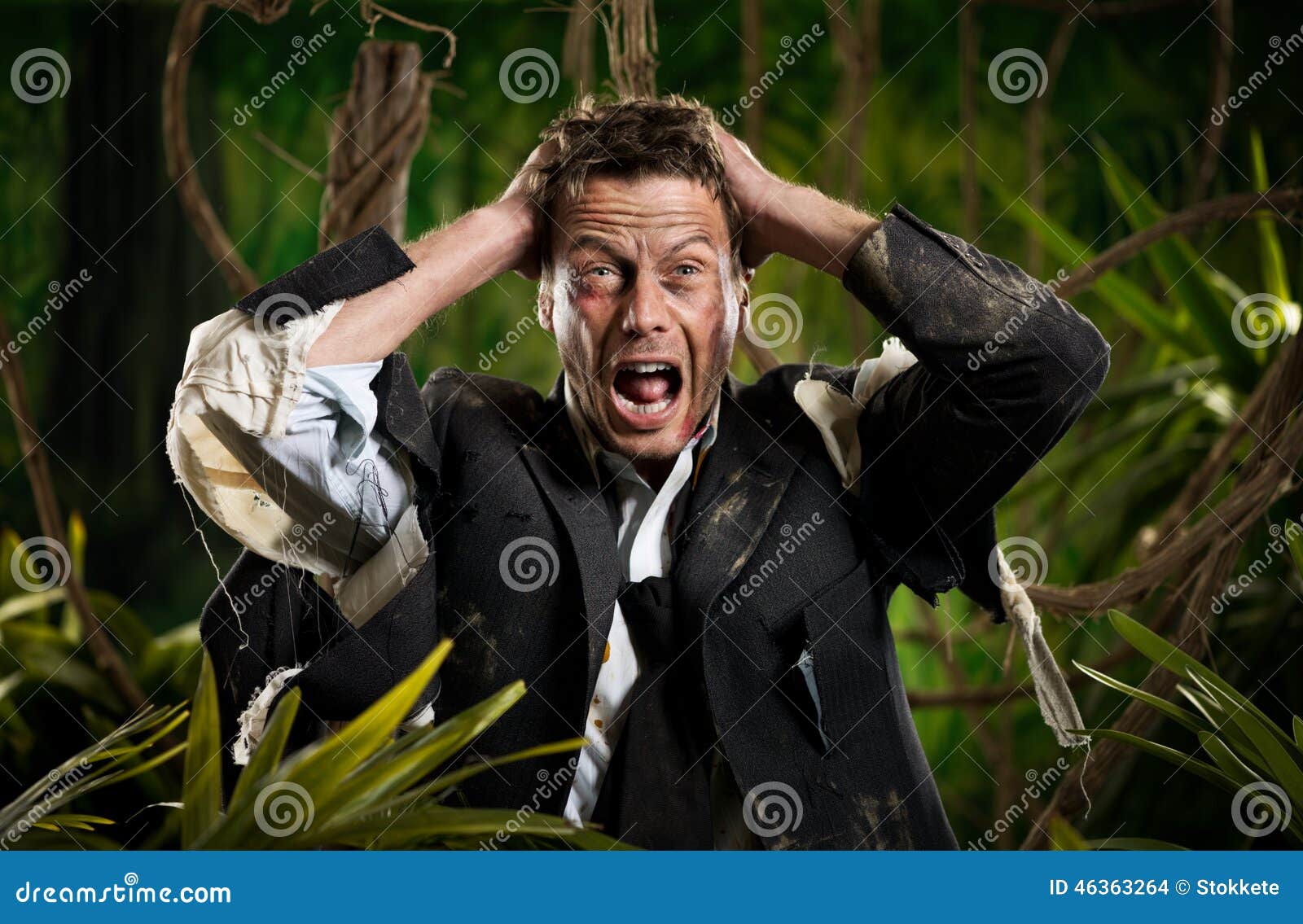 Perdu Dans La Jungle D'affaires Photo stock - Image of abondant, perdu ...