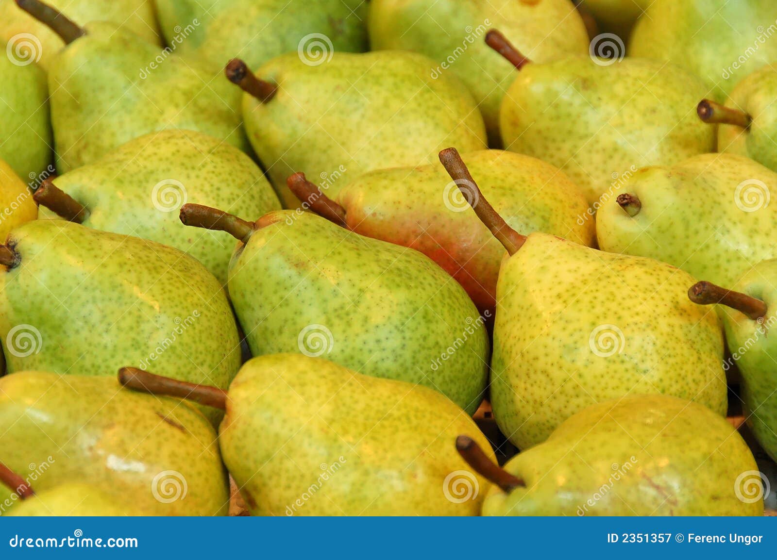 Pere immagine stock. Immagine di alimento, pera, pere - 2351357