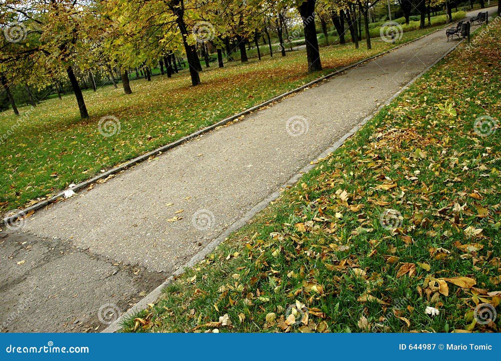 Peregrination 2 stock image. Image of fall, sidewalk, spring - 644987