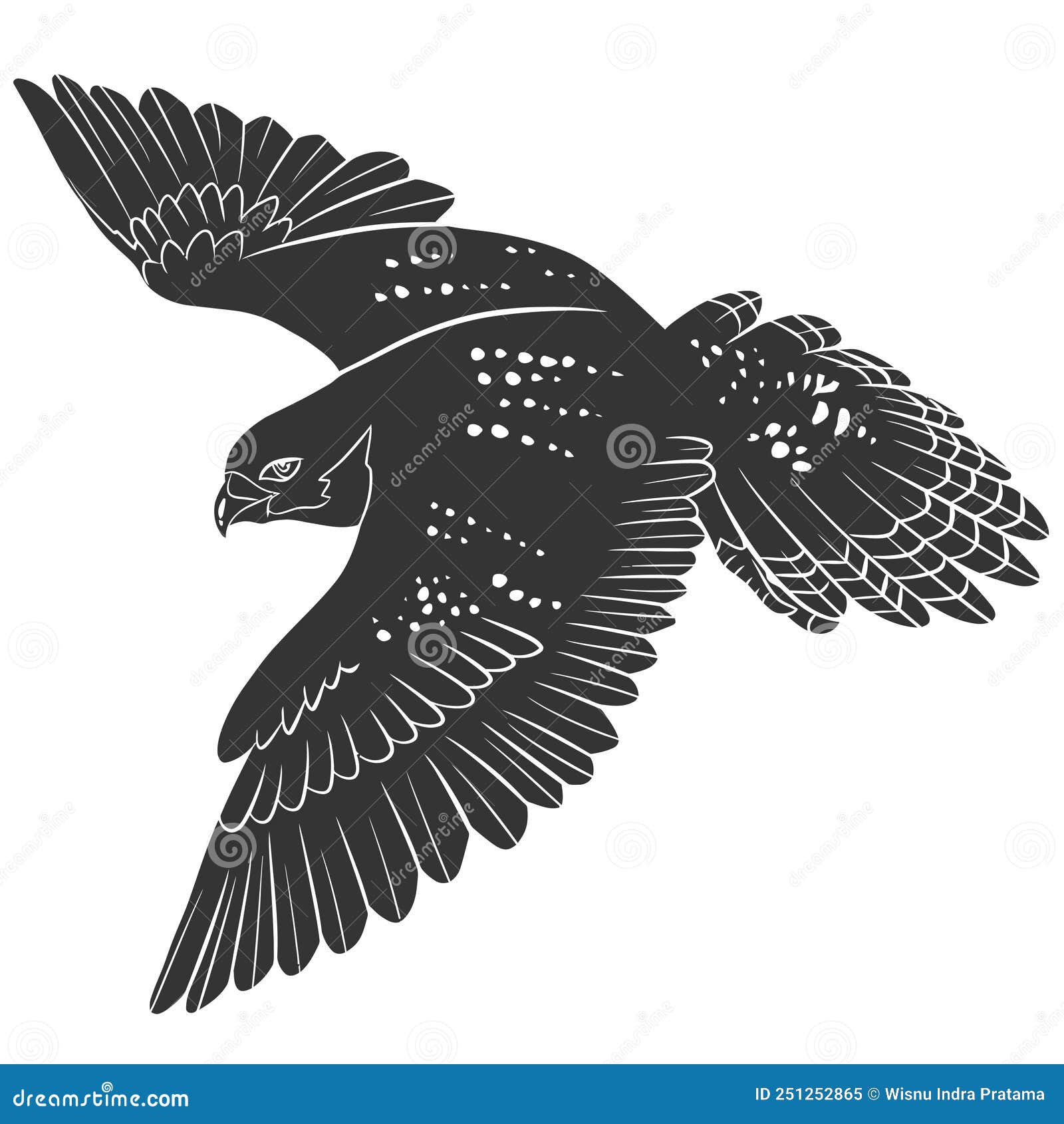 Flying Peregrine Falcons Isolate On White Background. Royalty-Free ...