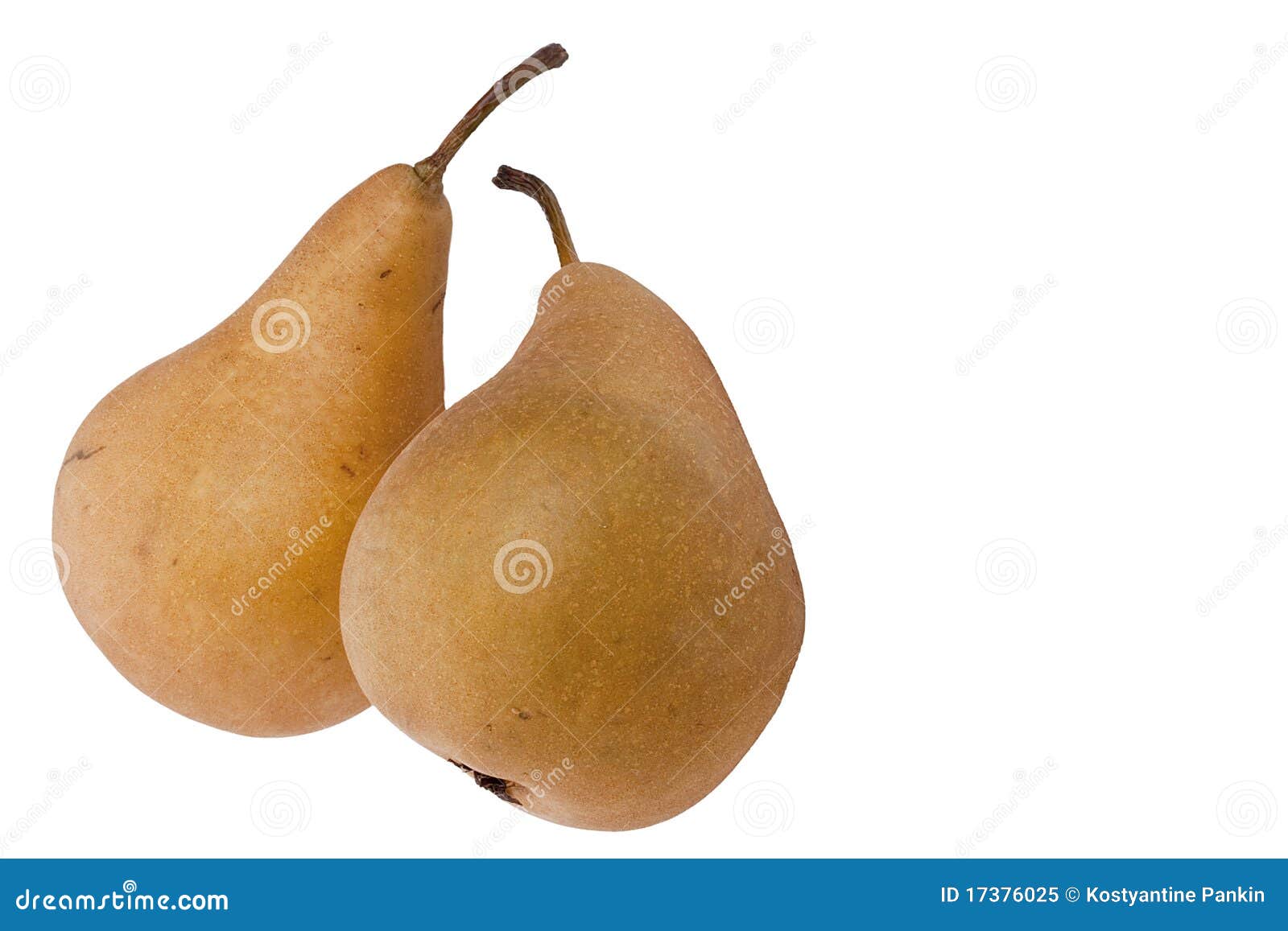 Peren stock afbeelding. Afbeelding bestaande uit groen - 17376025