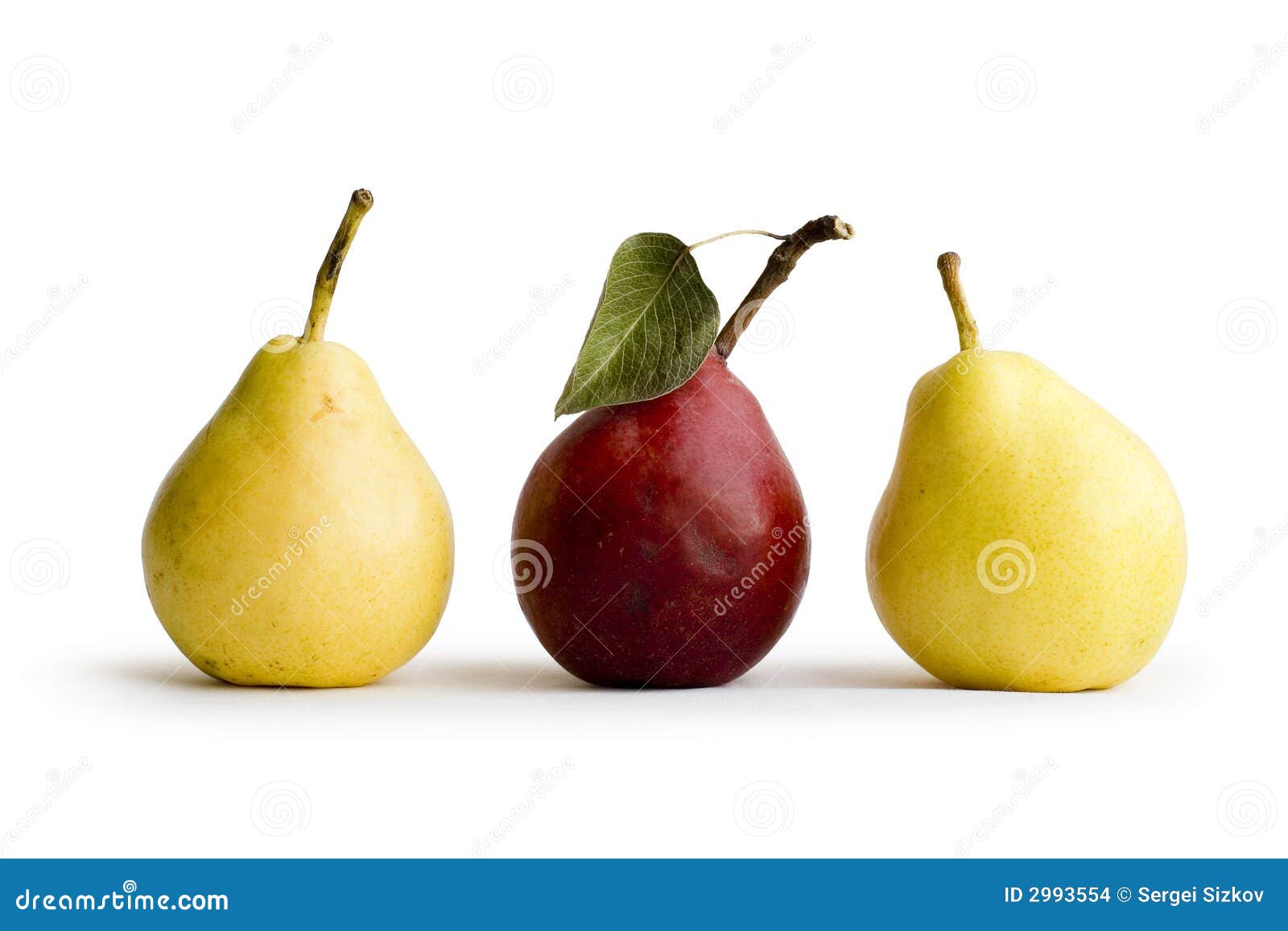 Peren stock foto. Image of nave, naughty, blad, enkelvoudig - 2993554