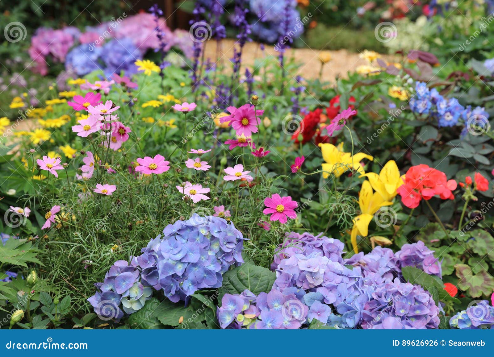 Perennial Garden Flower Bed in Spring Stock Photo - Image of summer ...
