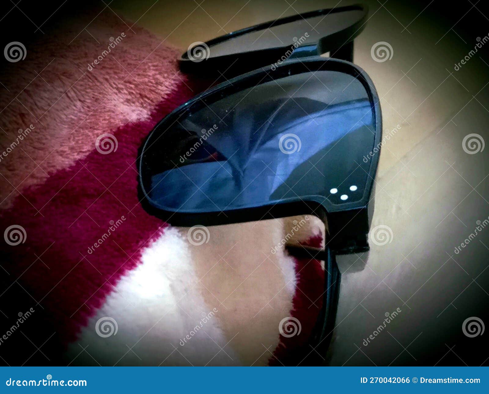 The Perfect Angle of Glasses for All Circles Stock Photo - Image of ...