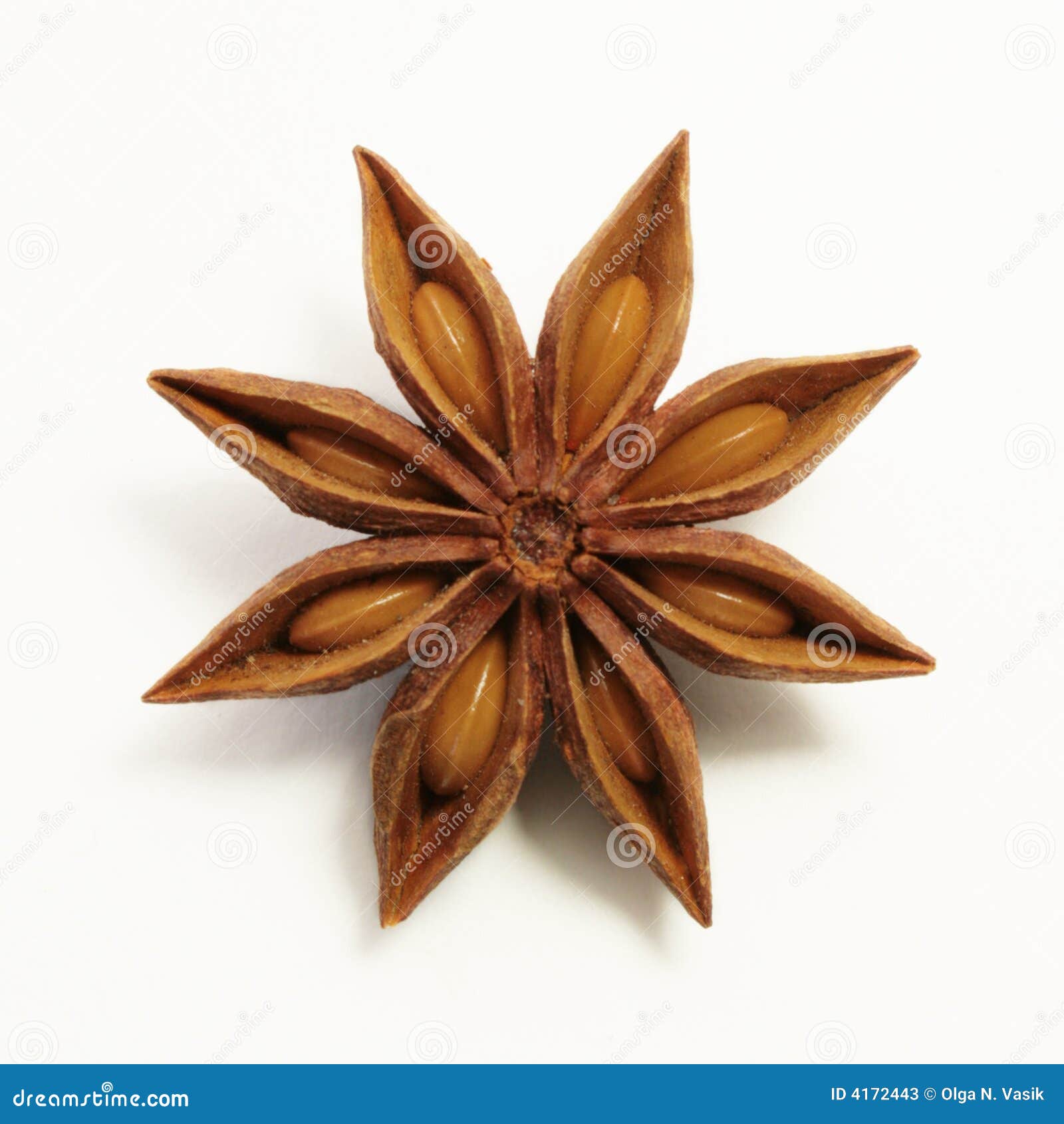 Perfect anis star stock image. Image of herb, organic - 4172443