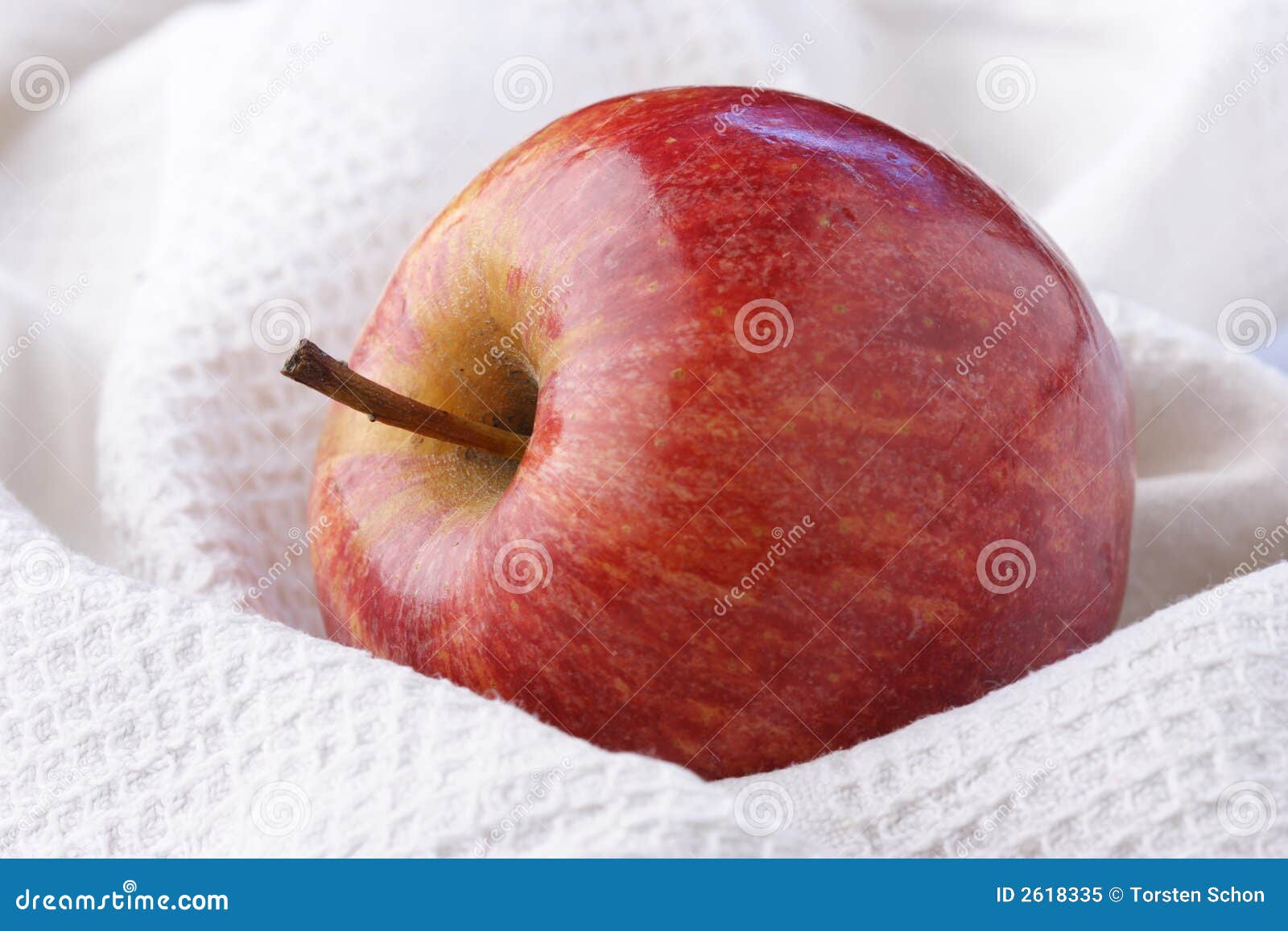 Perfect apple stock image. Image of apple, security, safety - 2618335