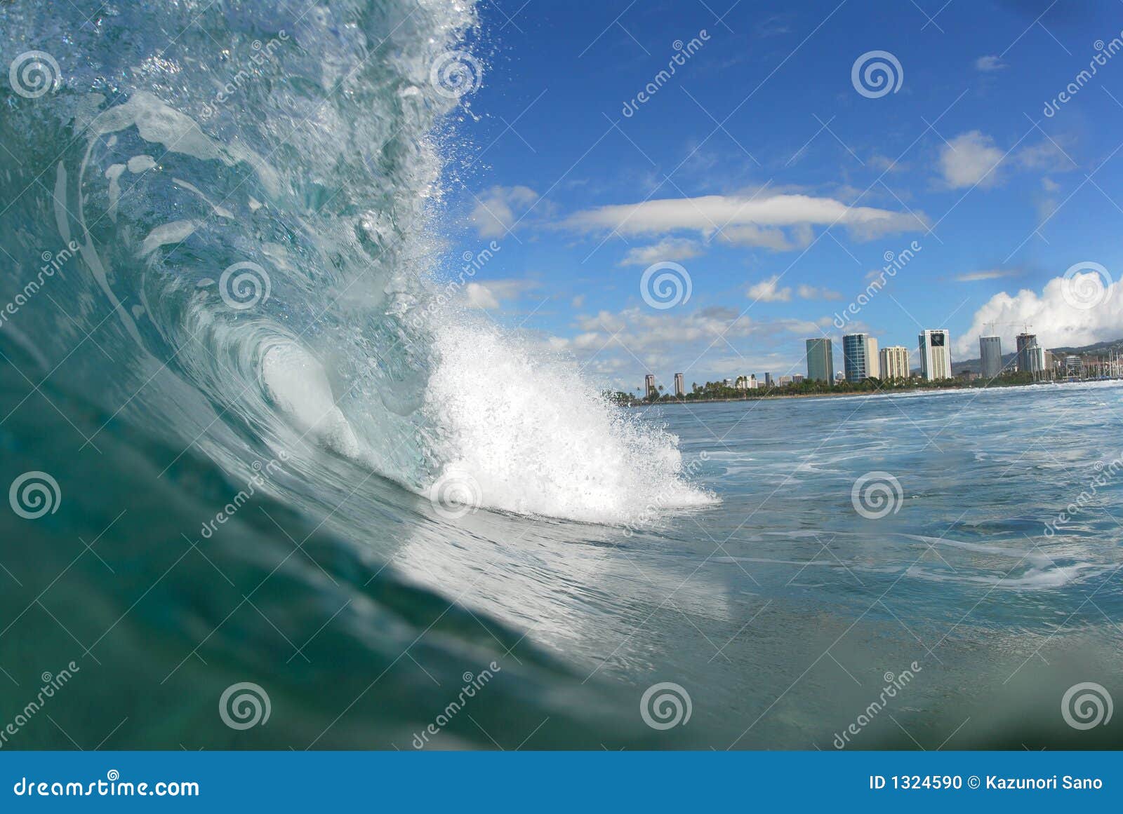 The perfect Barrel stock photo. Image of honolulu, surf - 1324590